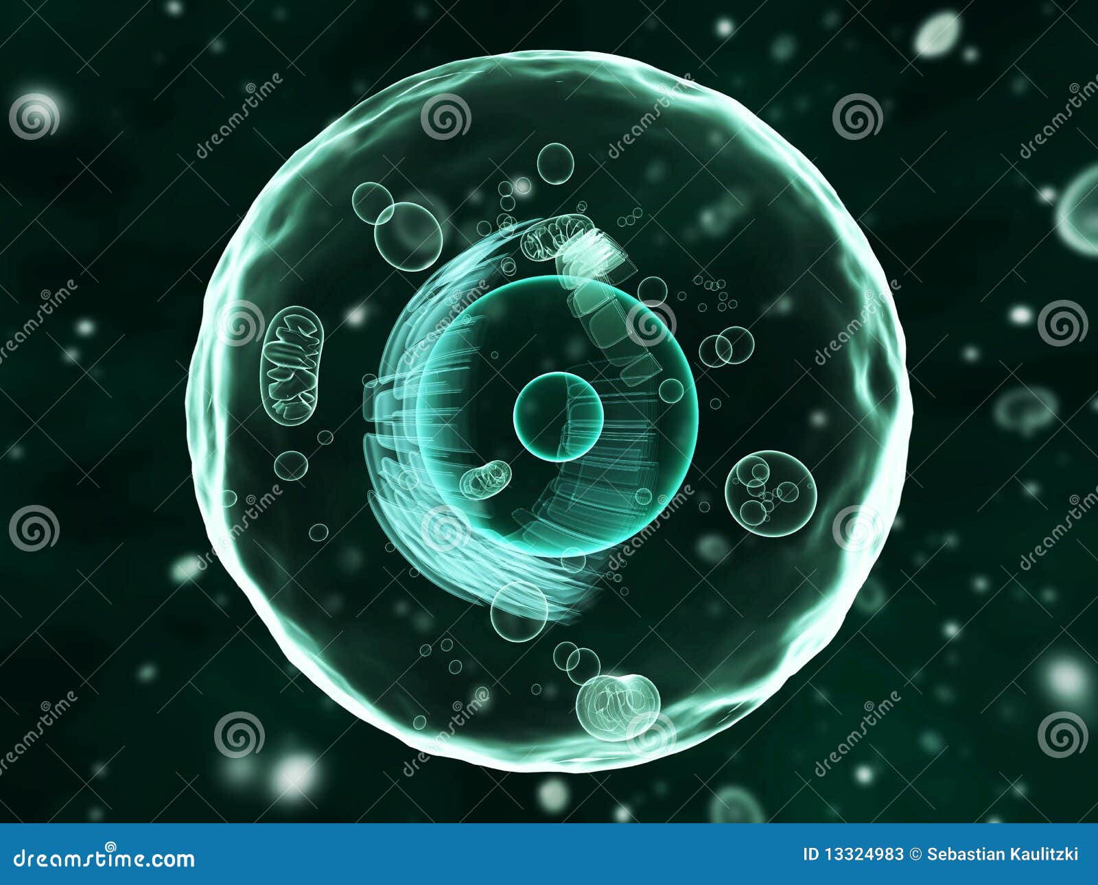 Cellule humaine illustration stock. Illustration du cellule - 13324983