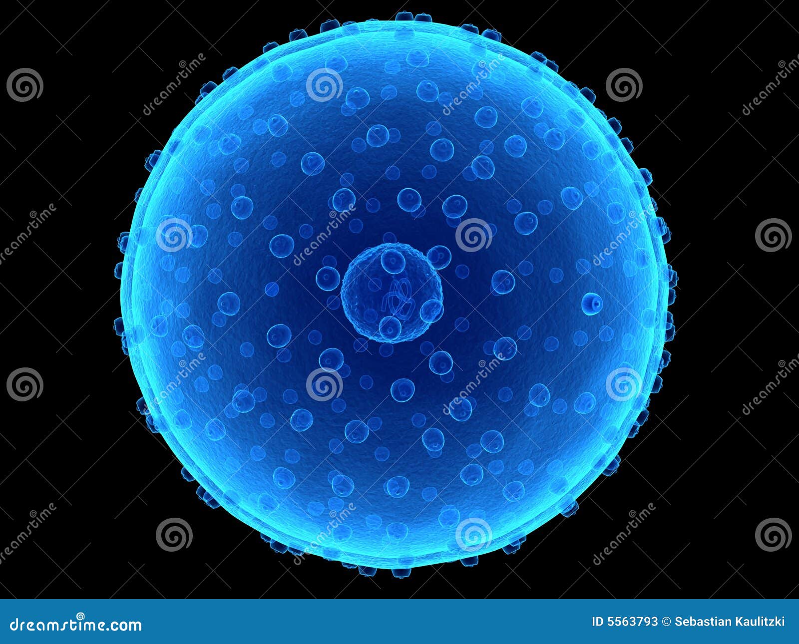 Cellule humaine illustration stock. Illustration du biologie - 5563793