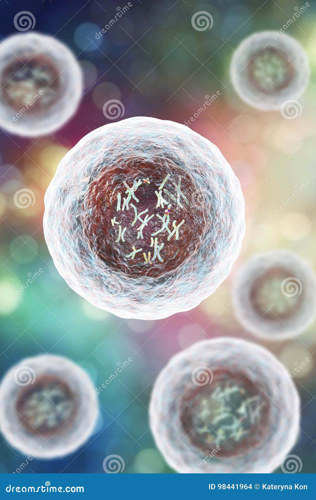 Cellule Humaine Avec Des Chromosomes Illustration Stock - Illustration ... Cellule Humaine Avec Des Chromosomes Illustration Stock - Illustration ...