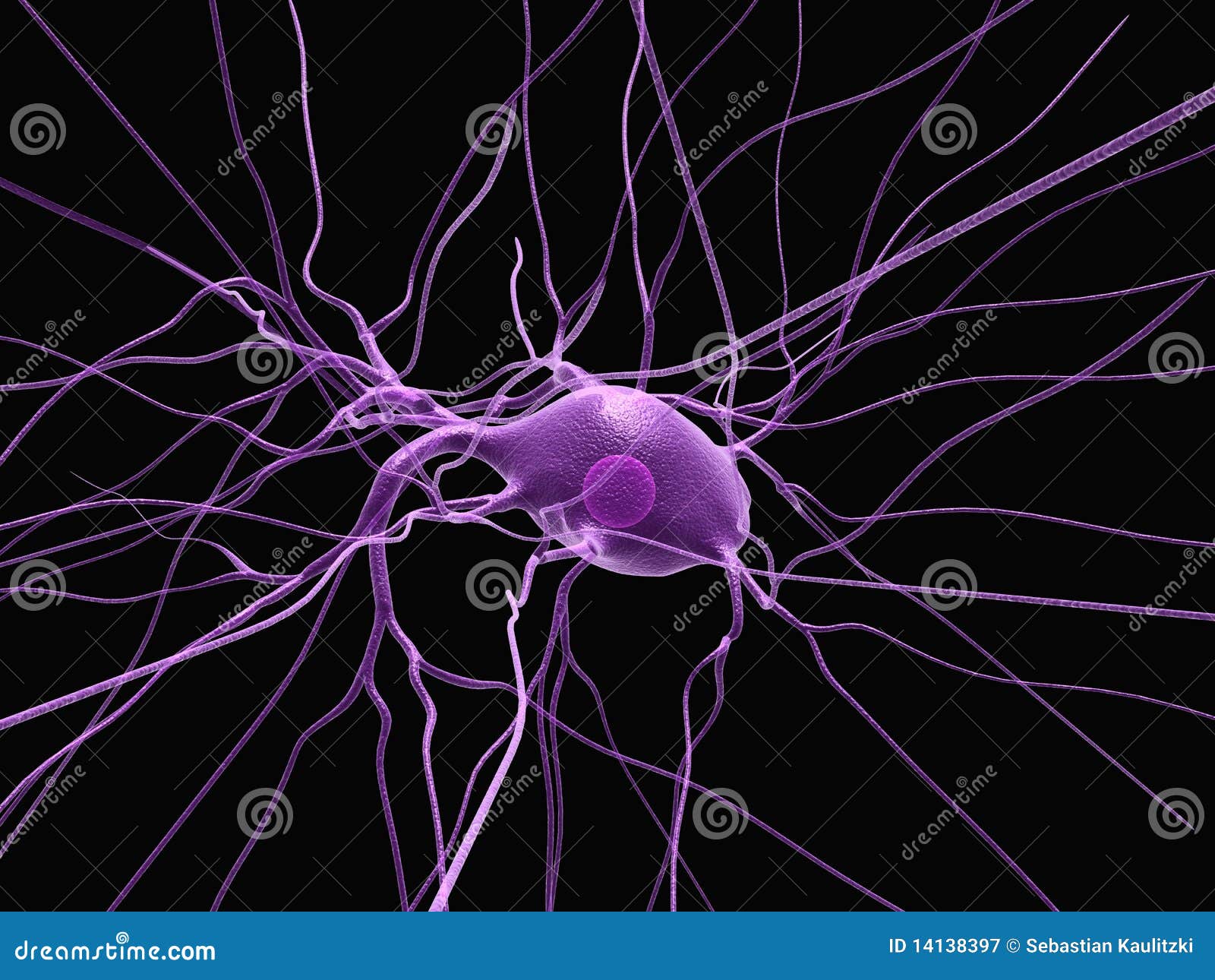 Cellule nerveuse illustration stock. Illustration du anatomie - 14138397