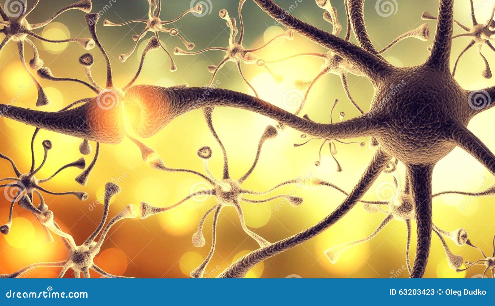 Cellule nerveuse image stock. Image du cellule, synapse - 63203423