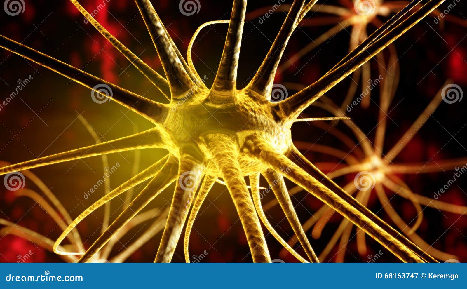 Cellule nerveuse illustration stock. Illustration du humanité - 68163747