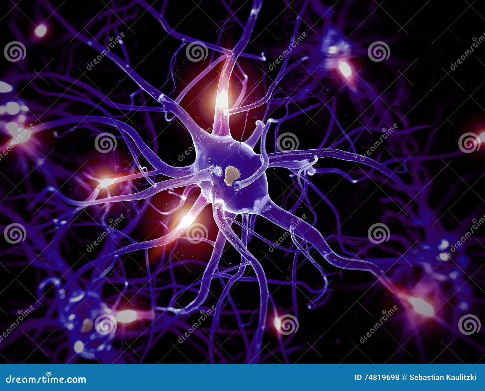 Cellule nerveuse illustration stock. Illustration du médecine - 74819698