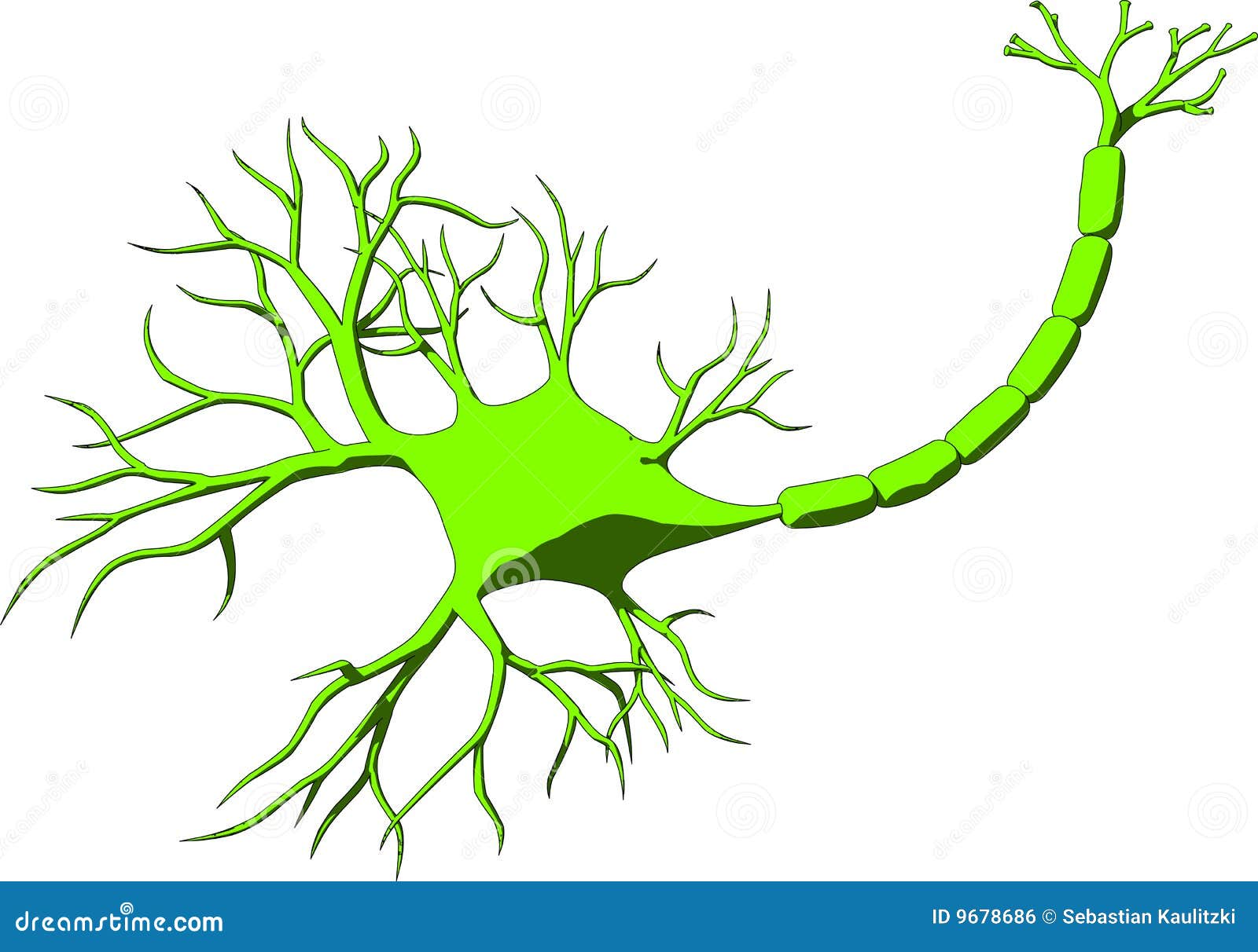 Cellule nerveuse illustration de vecteur. Illustration du science - 9678686