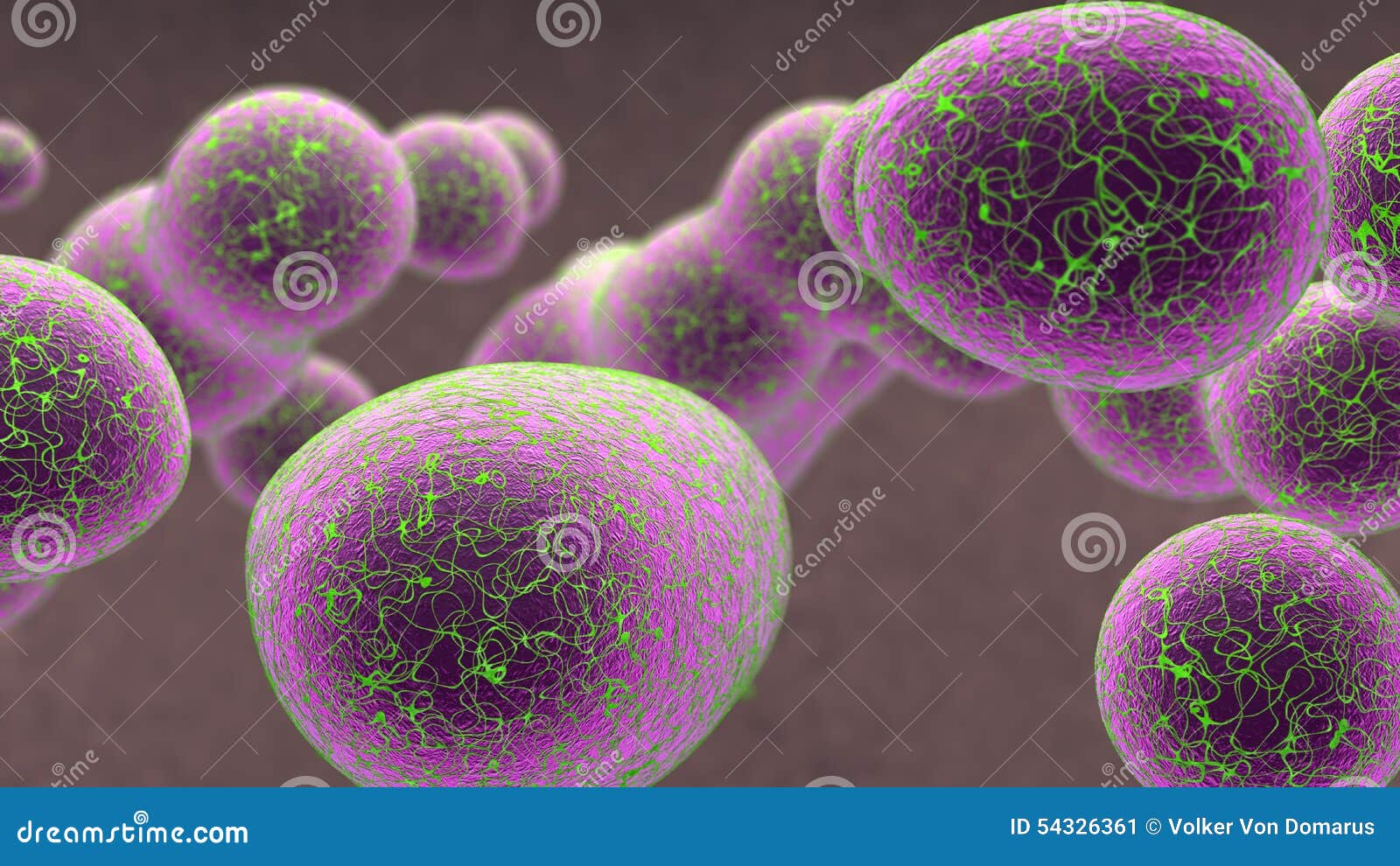 Cellule Nerveuse De Neurones Illustration Stock - Illustration du nerf ...