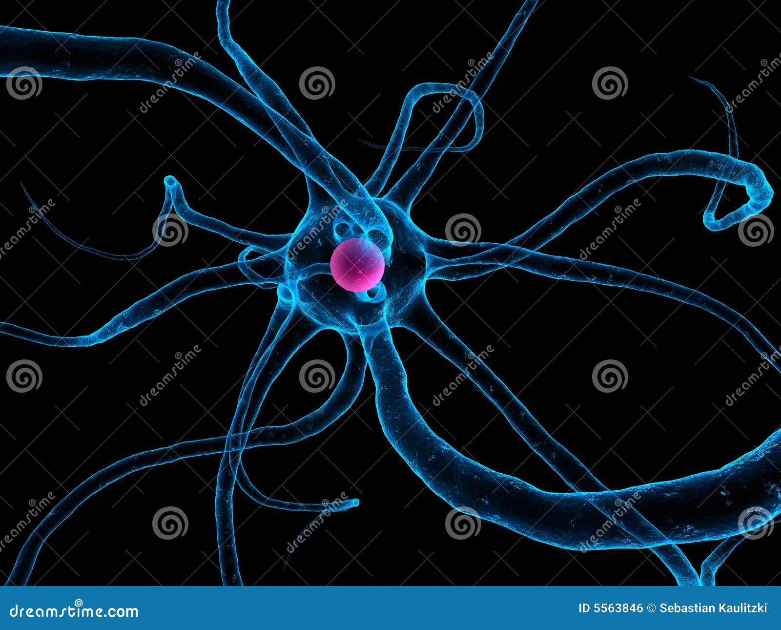 Cellule nerveuse humaine illustration stock. Illustration du organisme ...