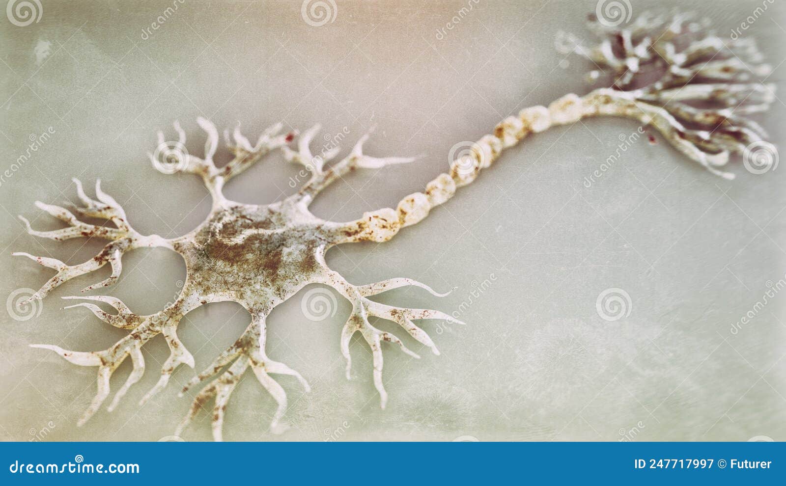 Cellule Nerveuse Sous Microscope En Tant Que Rendu 3d Illustration ...
