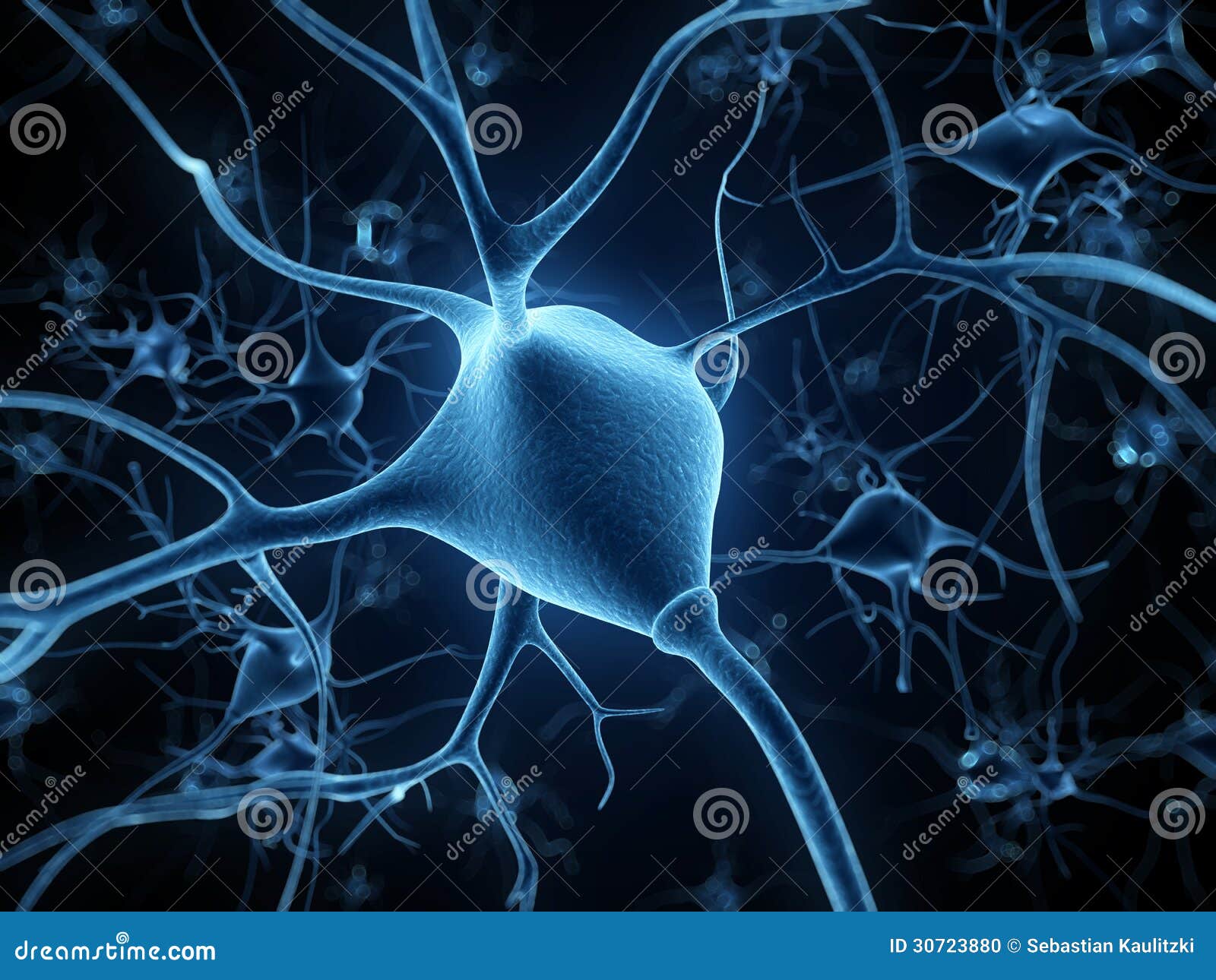 Cellule nervose illustrazione di stock. Illustrazione di umano - 30723880