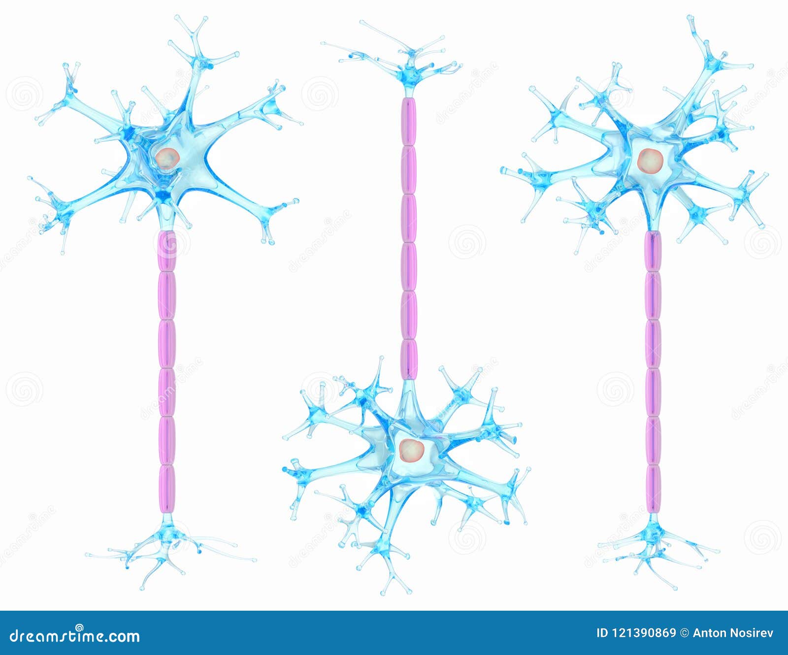 Cellule nervose messe illustrazione di stock. Illustrazione di umano ...
