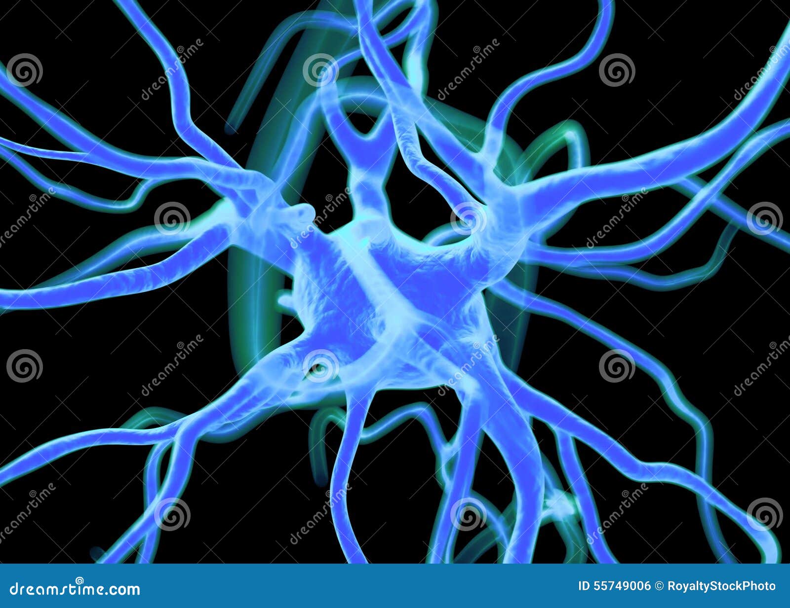 Cellule nervose o neuroni illustrazione di stock. Illustrazione di ...