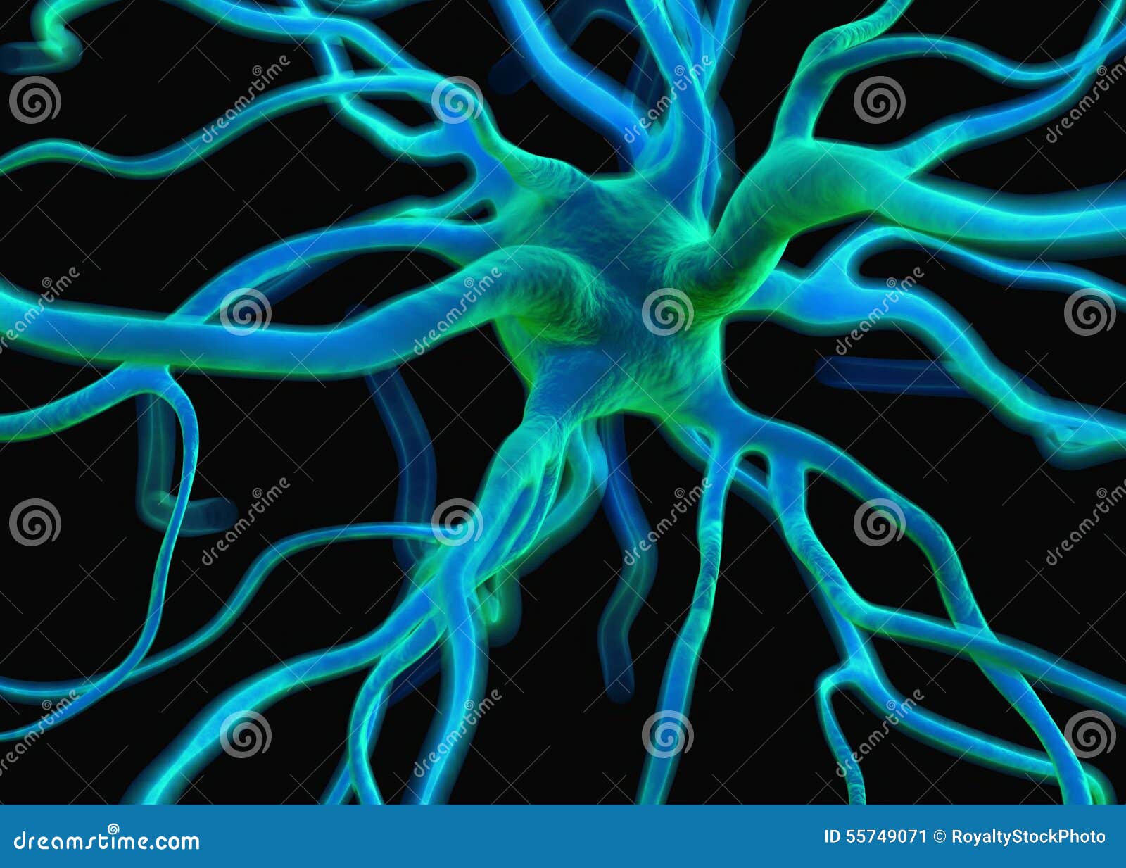 Cellule nervose o neuroni illustrazione di stock. Illustrazione di ...