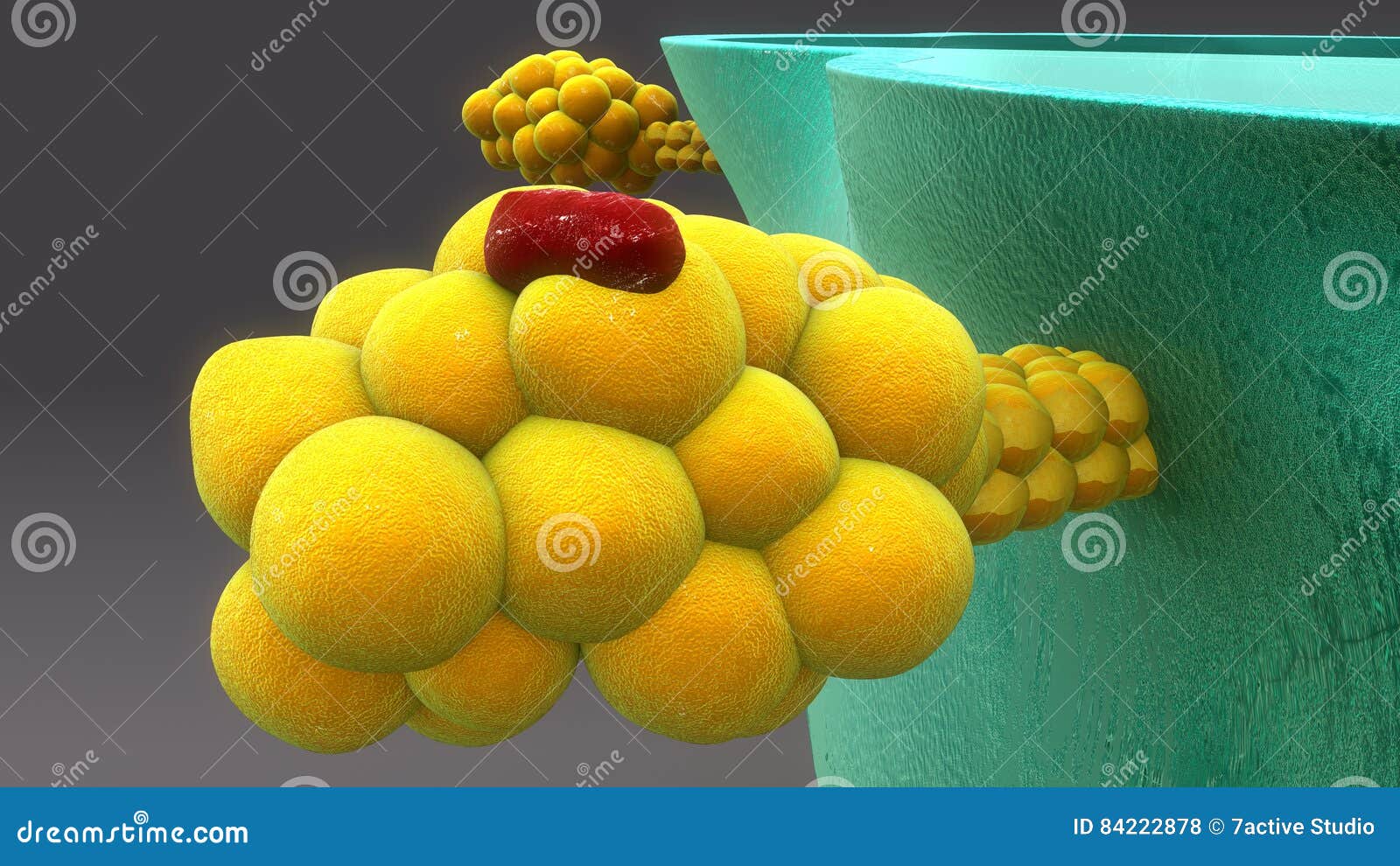 Cellule normale photo stock. Image du leucémie, microscope - 84222878