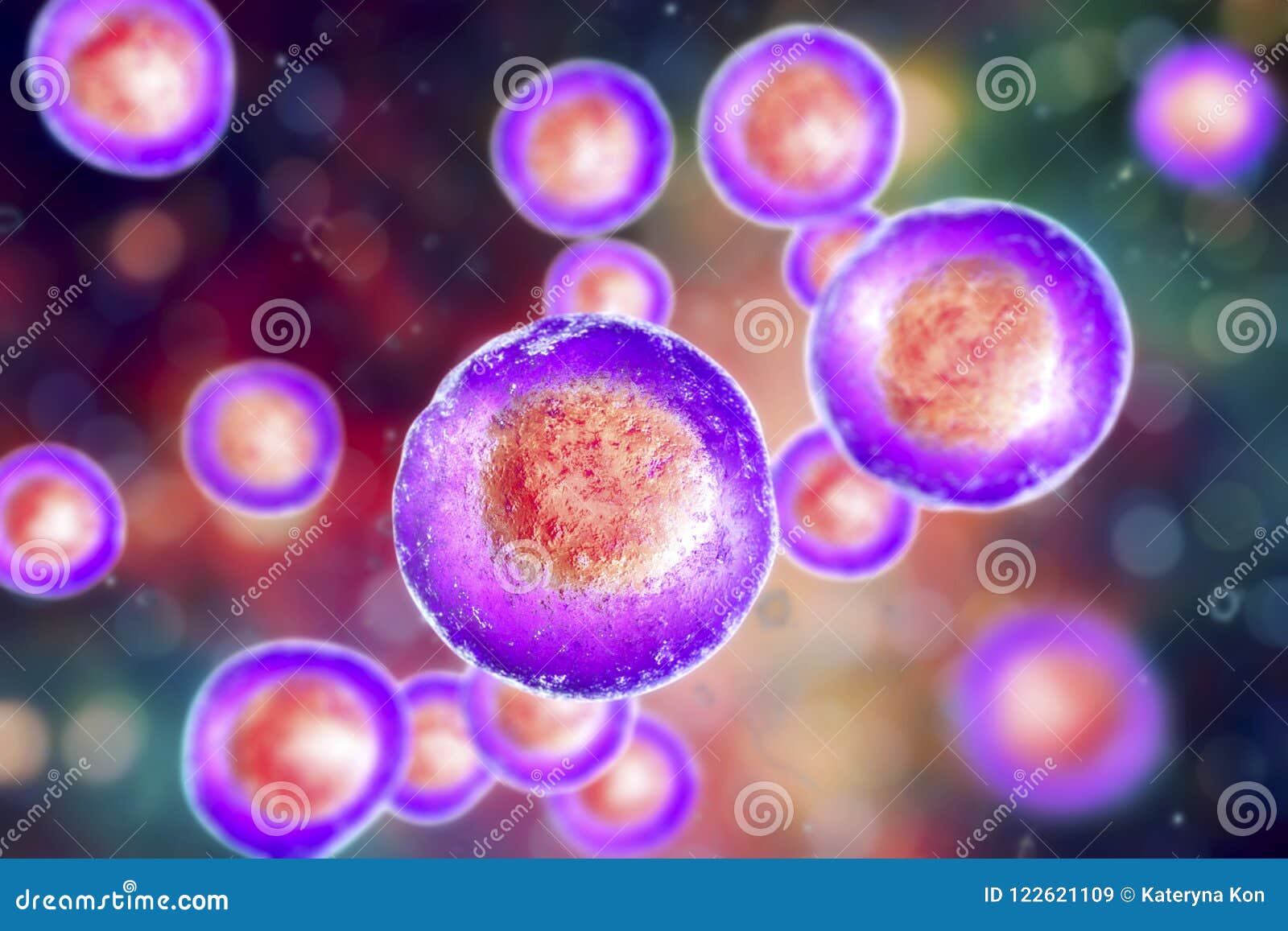 Cellule Umane, Illustrazione Illustrazione di Stock - Illustrazione di ...