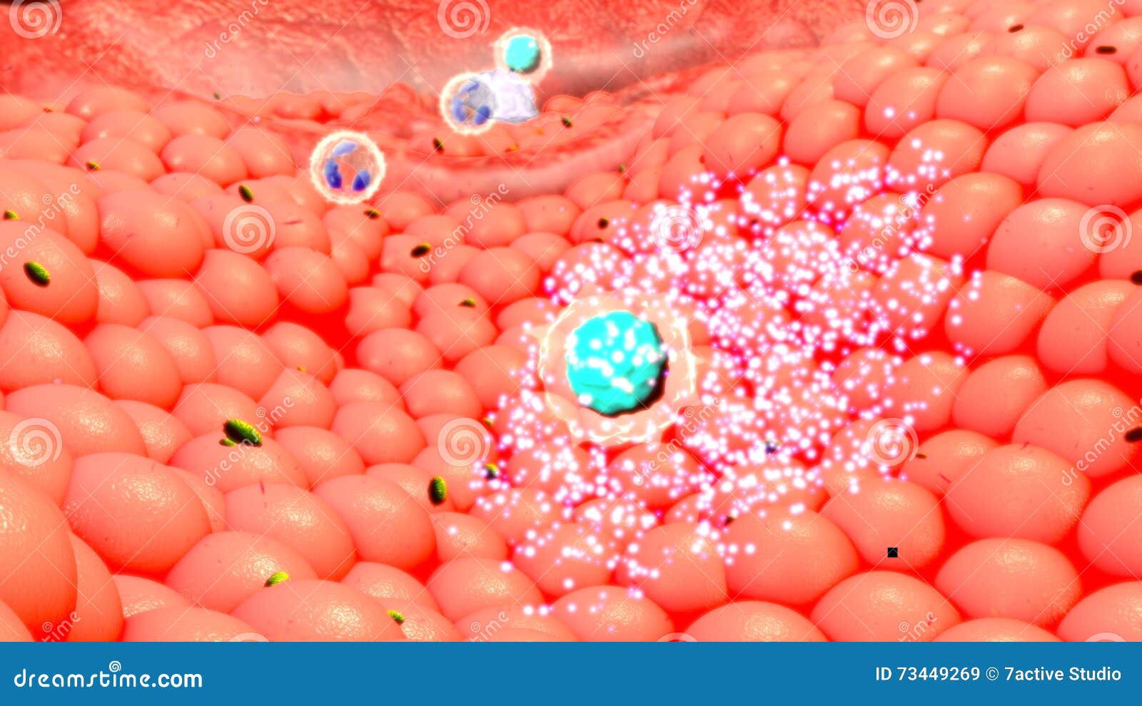 Cellules de corps image stock. Image du membrane, flagelle - 73449269