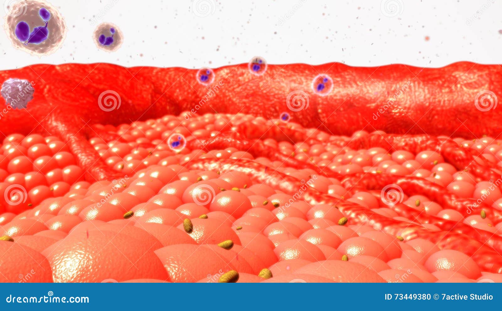 Cellules de corps photo stock. Image du gène, liquides - 73449380