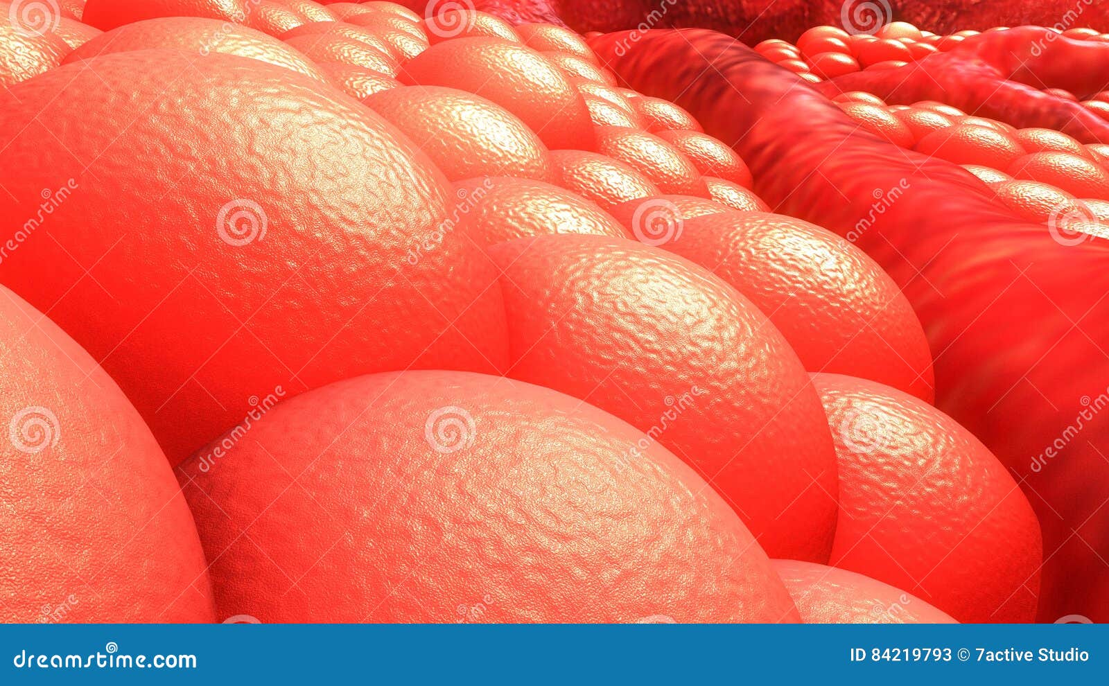 Cellules de corps humain image stock. Image du bonnet - 84219793