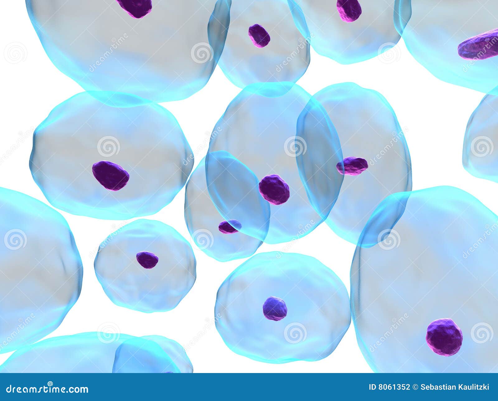 Cellules humaines illustration stock. Illustration du fond - 8061352