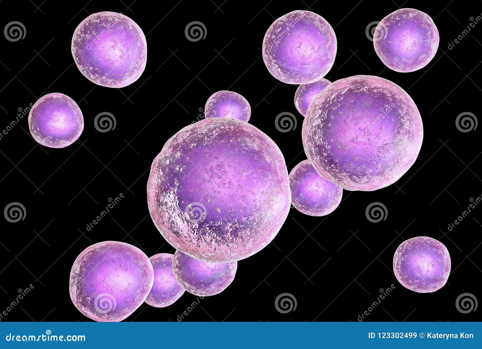 Cellules Humaines, Illustration Illustration Stock - Illustration du ...