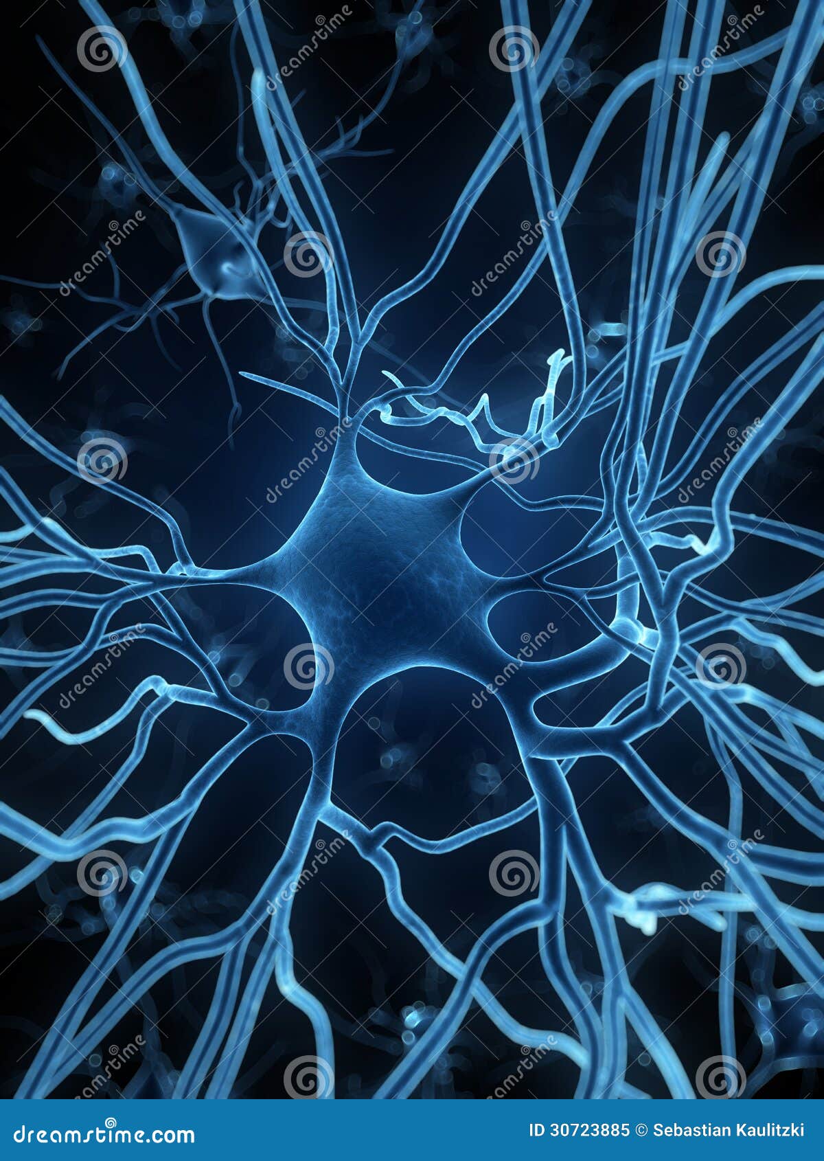 Cellules nerveuses actives illustration stock. Illustration of neurone ...