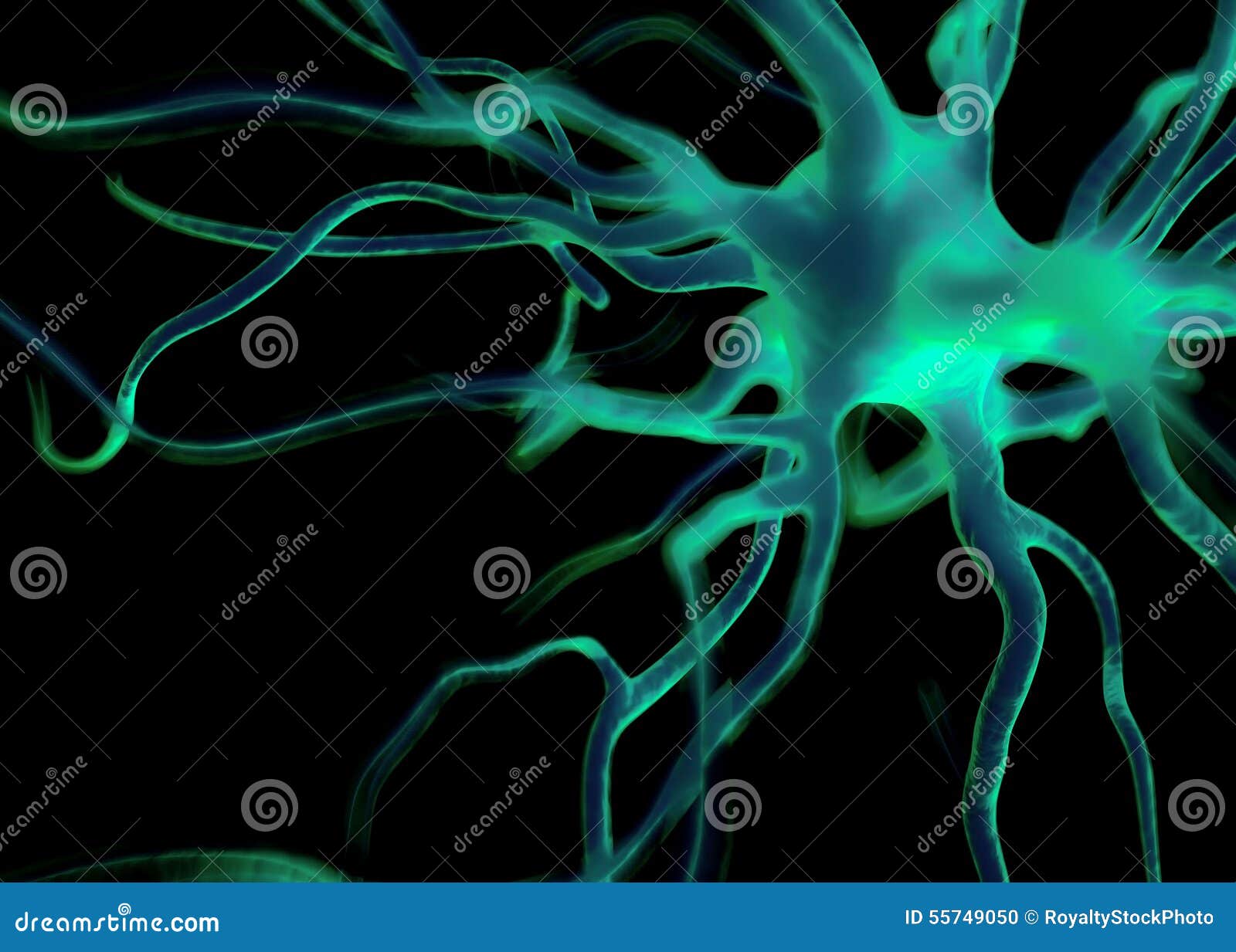 Cellules Nerveuses Ou Neurones Illustration Stock - Illustration of ...