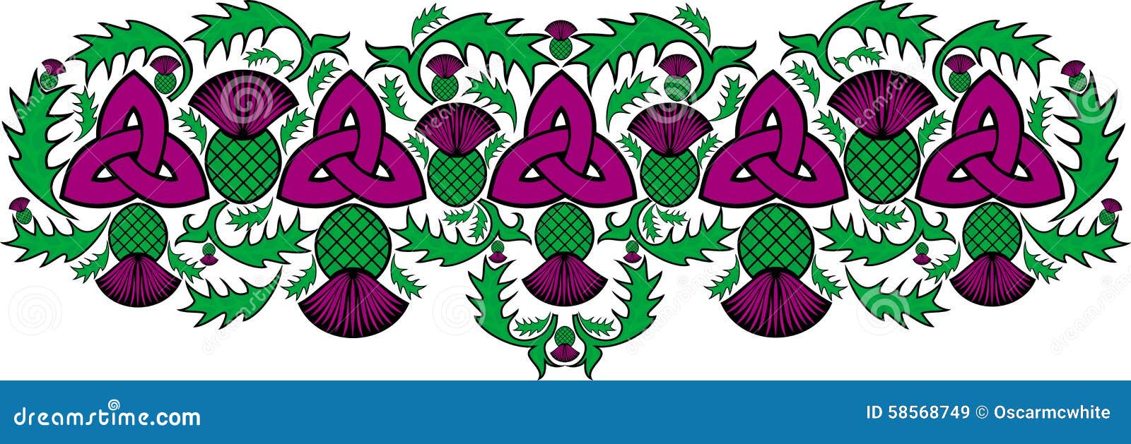 Scottish Thistle With Ribbon Color Drawing Cartoon Vector ...