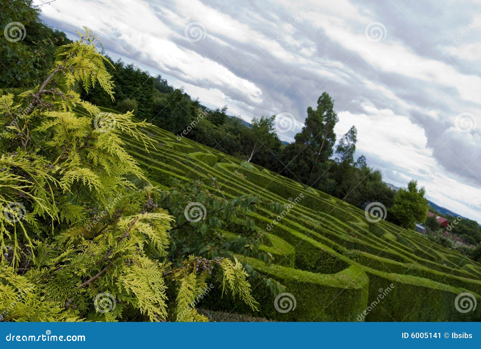 Celtic Maze In Wicklow, Ireland. Picture Image: 6005141