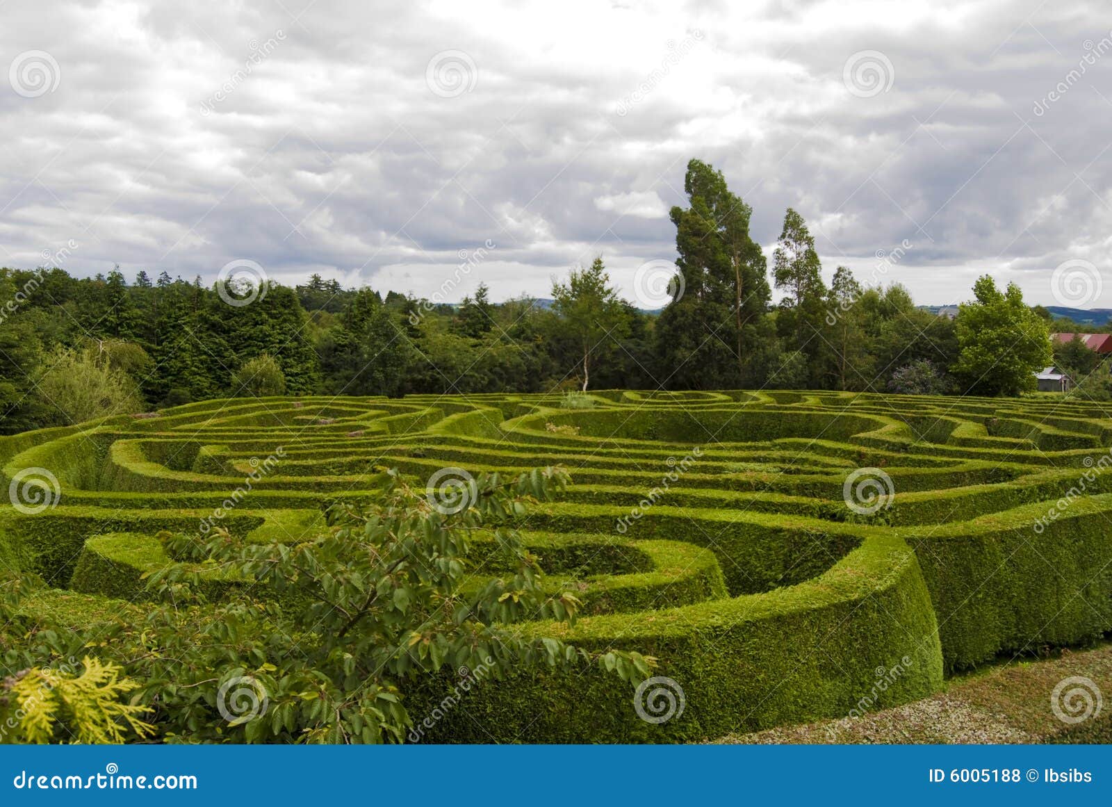 Celtic Maze in Wicklow, Ireland. Stock Photo - Image of cloudy, exit ...