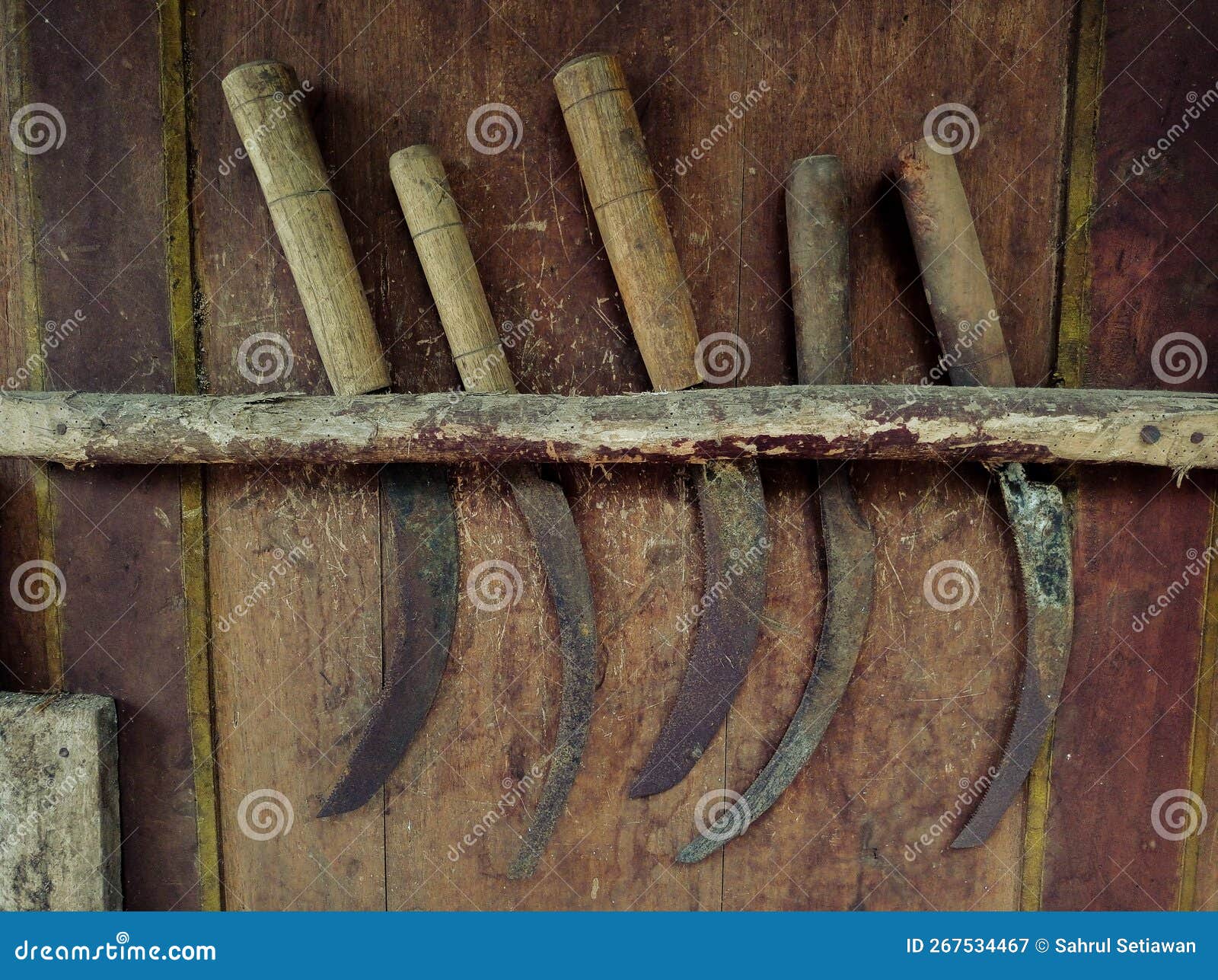 Celurit a Tool for Harvesting Rice Manually in Indonesia Stock Image ...