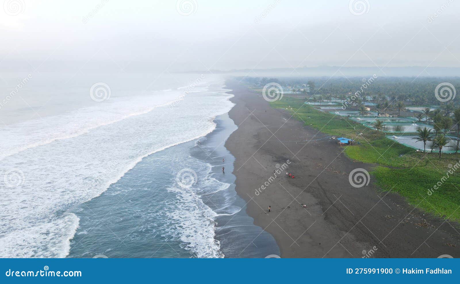 Cemara Sewu Beach in Kebumen, Central Java Stock Photo - Image of ...