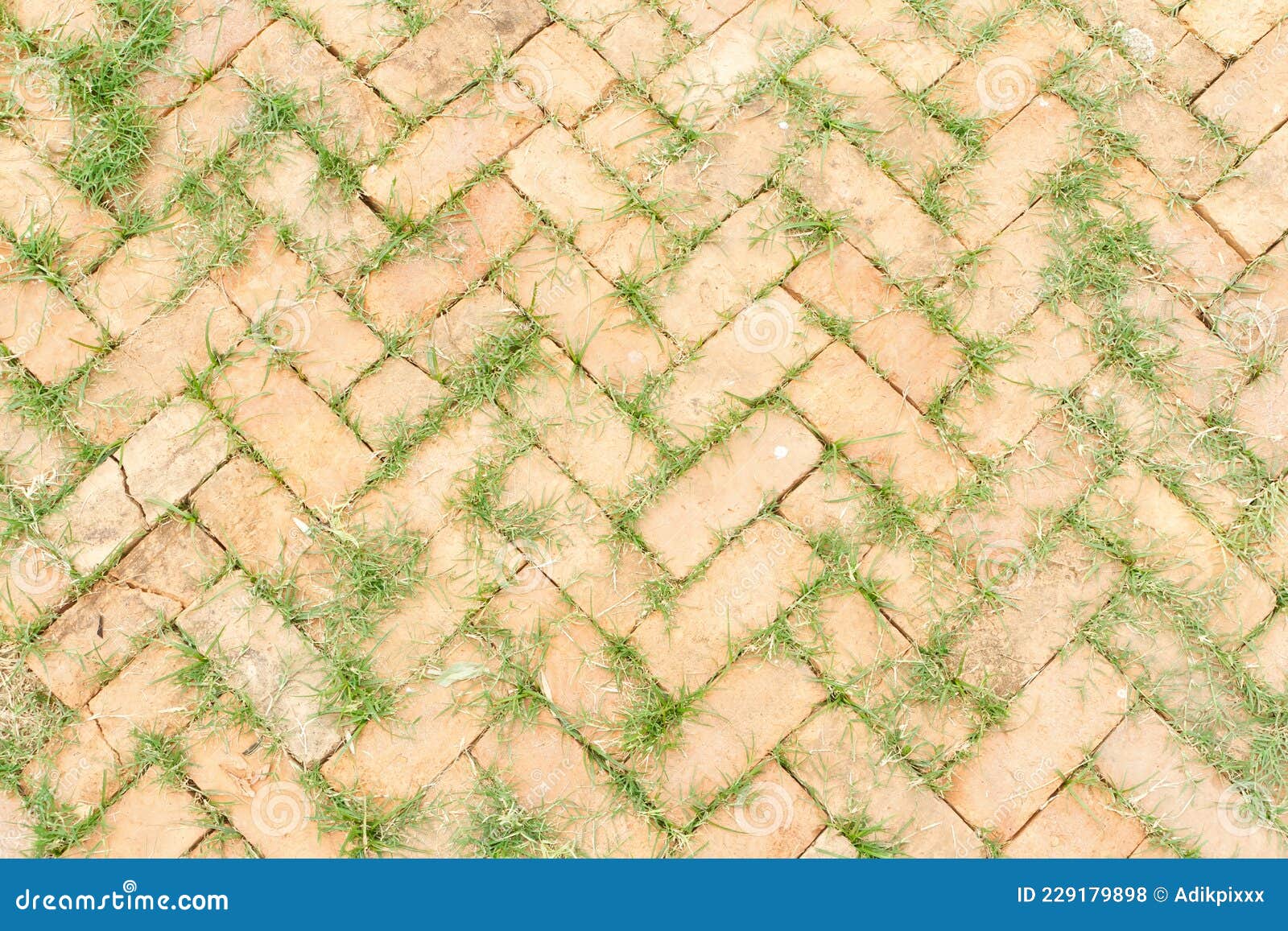 Cement block flooring stock photo. Image of concrete - 229179898