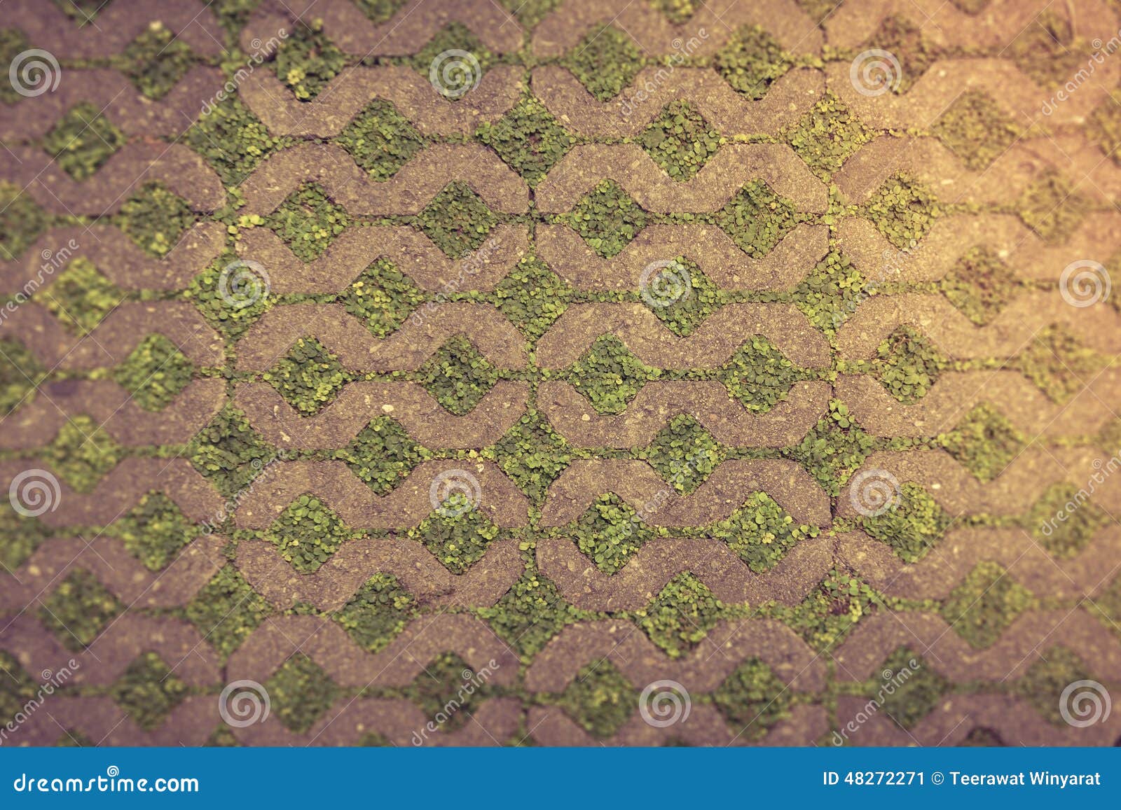 Cement Block Pattern with Grass Floor Stock Image - Image of background ...