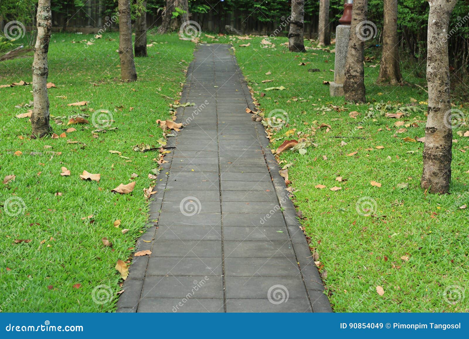Cement block walkway stock image. Image of walkway, outside - 90854049