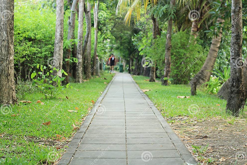 Cement block walkway stock image. Image of walkway, outdoor - 90854061