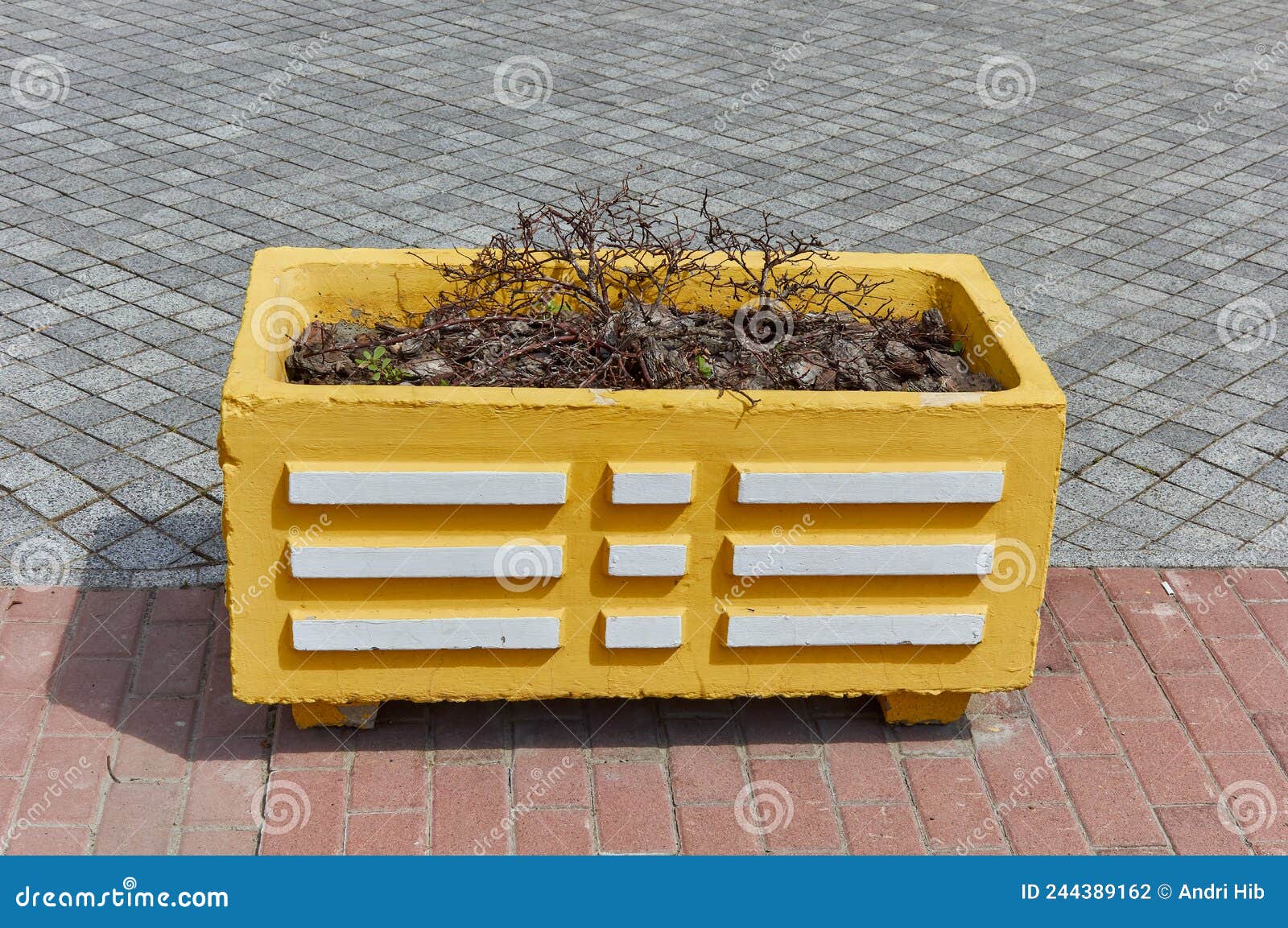 Cement Box, Flower Bed for a Bush. Stock Photo - Image of outdoor ...