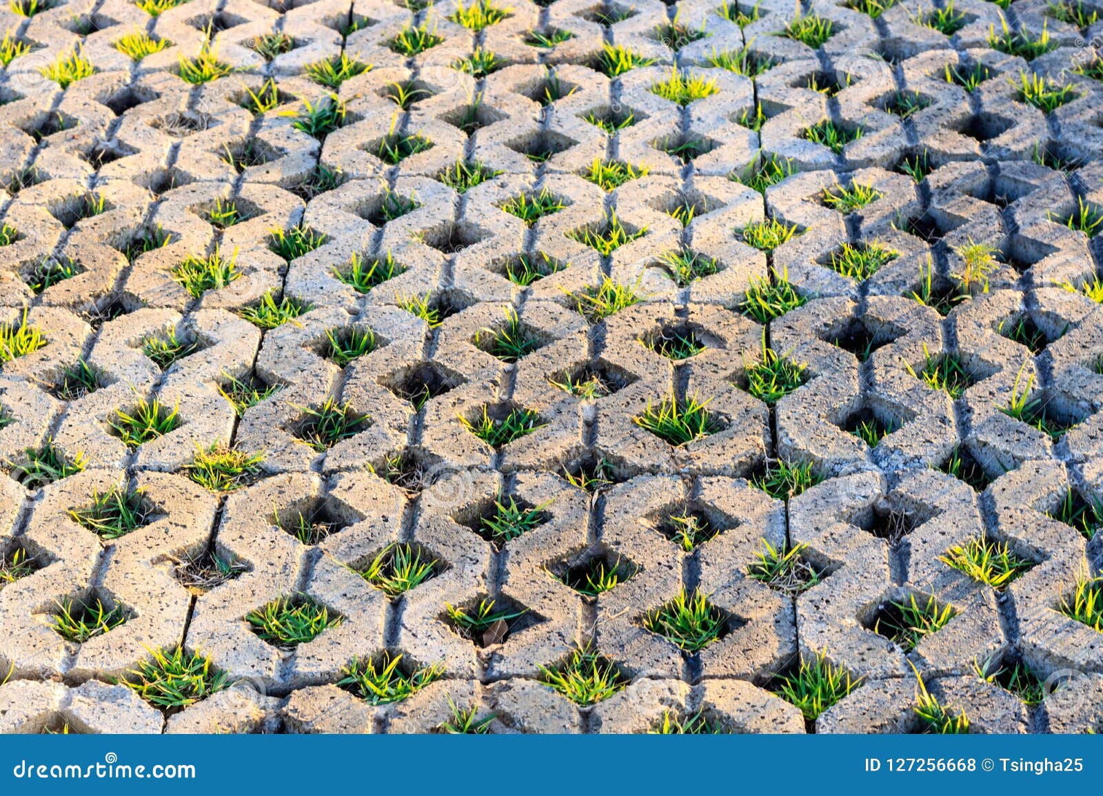Cement Brick Block Walkway. Stock Photo - Image of plant, block: 127256668