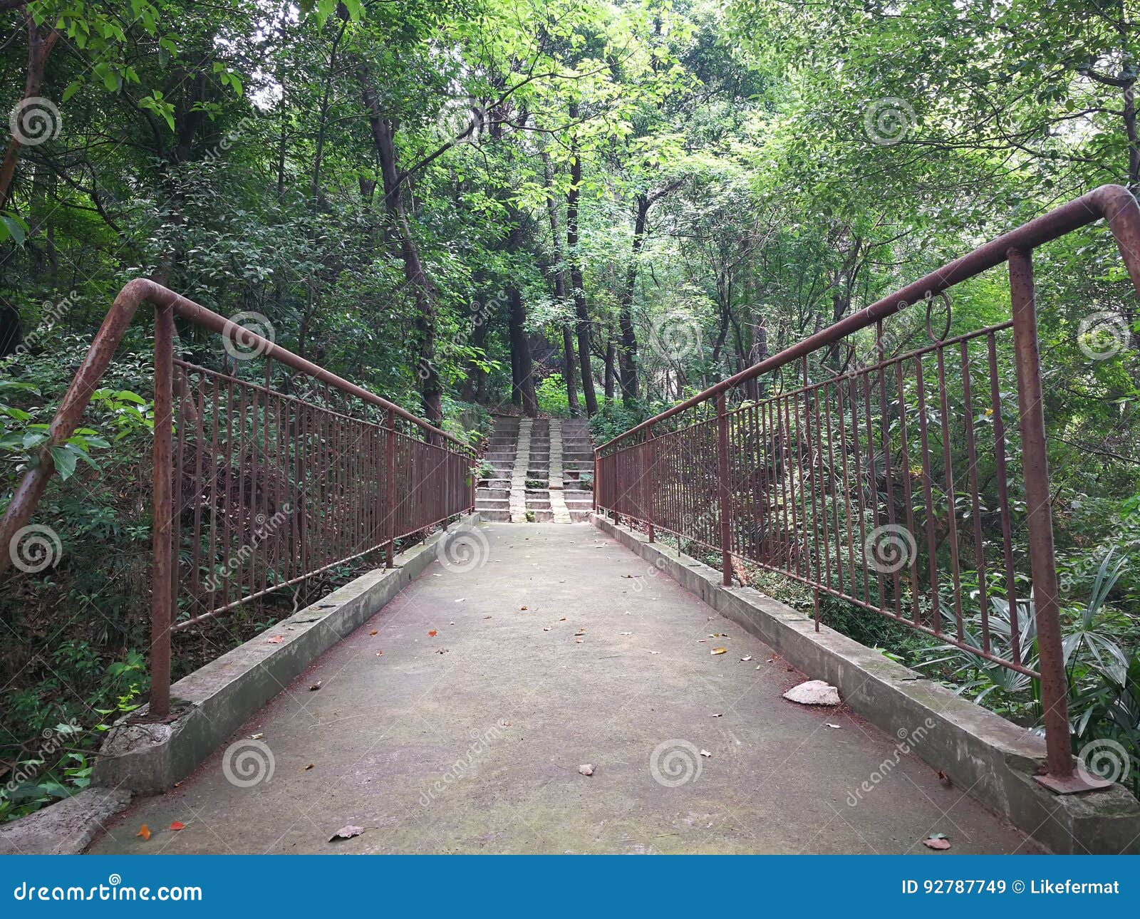 Cement bridge stock image. Image of trail, area, guardrail - 92787749