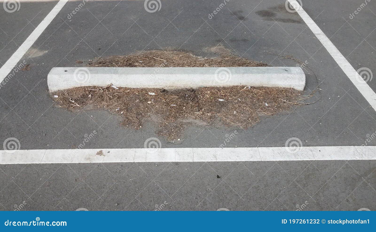 Cement Curb With Chipped Yellow And White Paint Stock Image ...