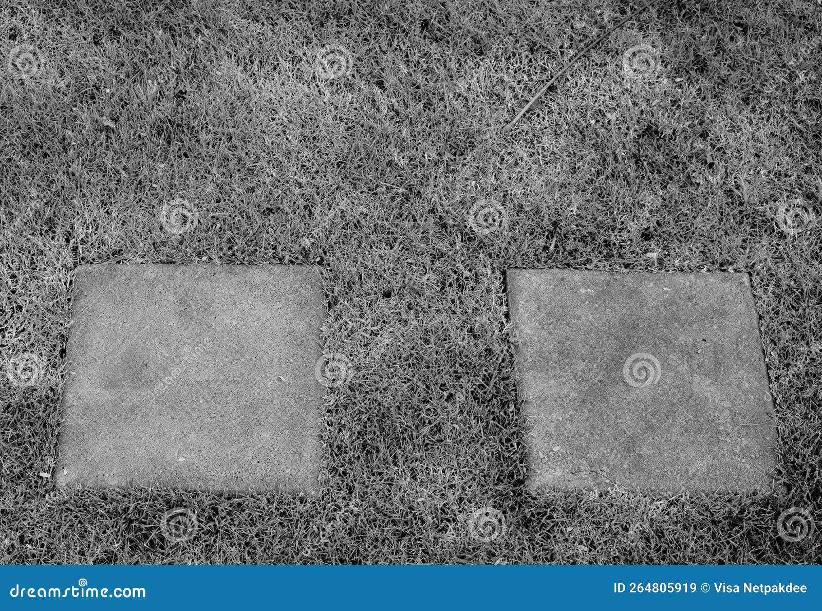 The Cement Floor is Beautifully Decorated with Patterns on the Grass ...