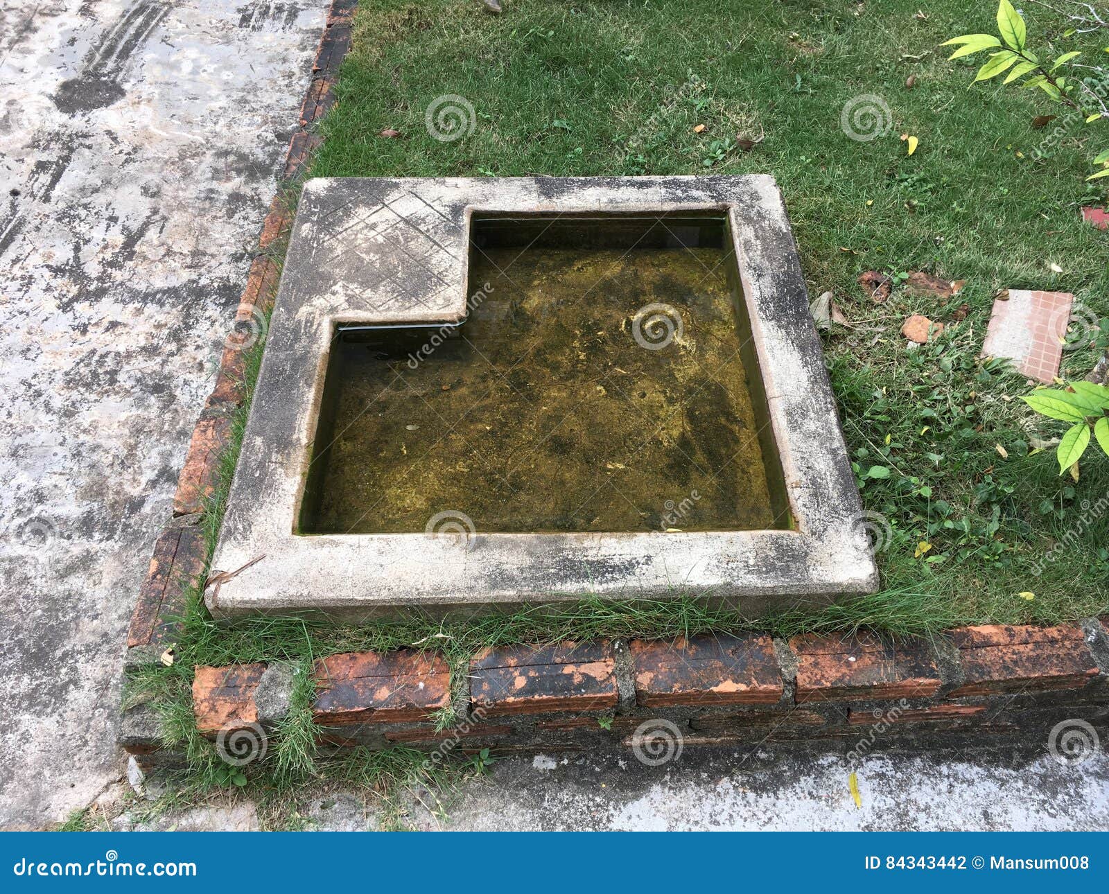 Cement foot bath stock photo. Image of grass, water, outdoor - 84343442