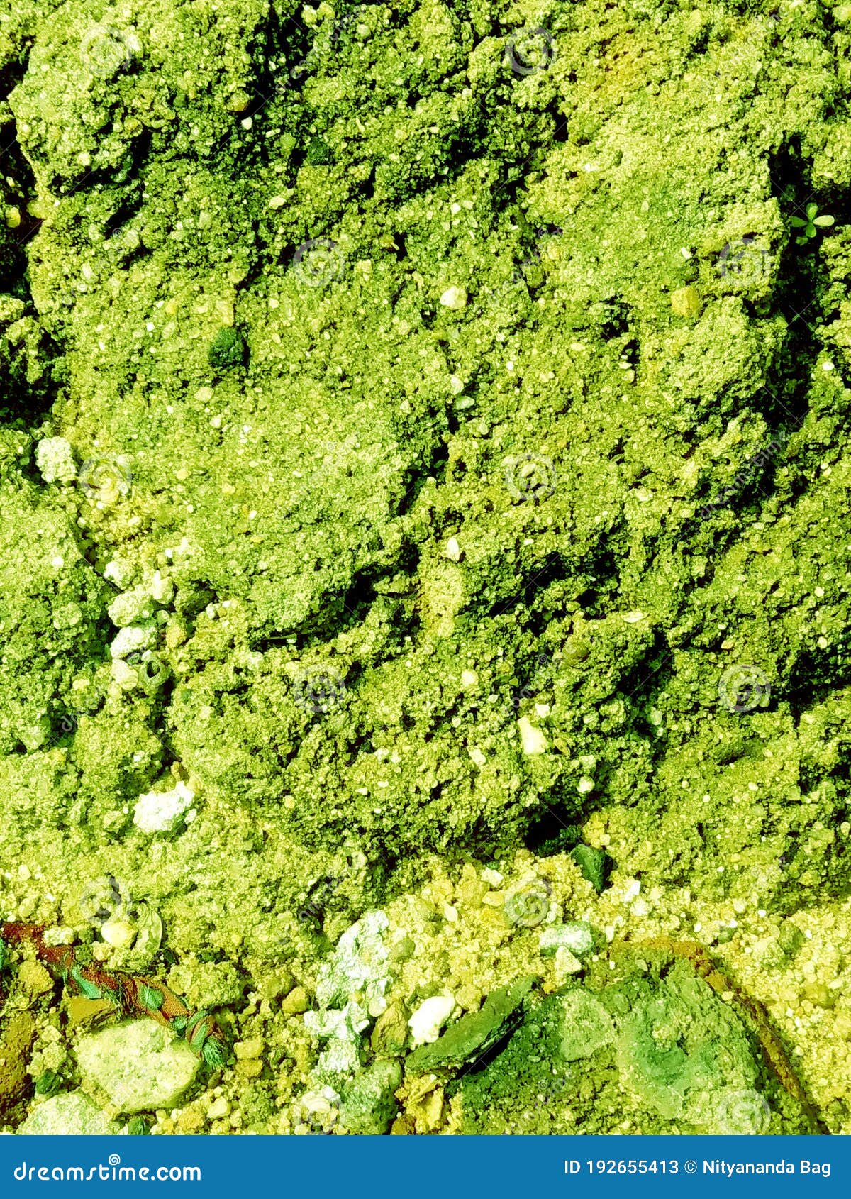 This Is Cement Green Background Royalty-Free Stock Photo ...