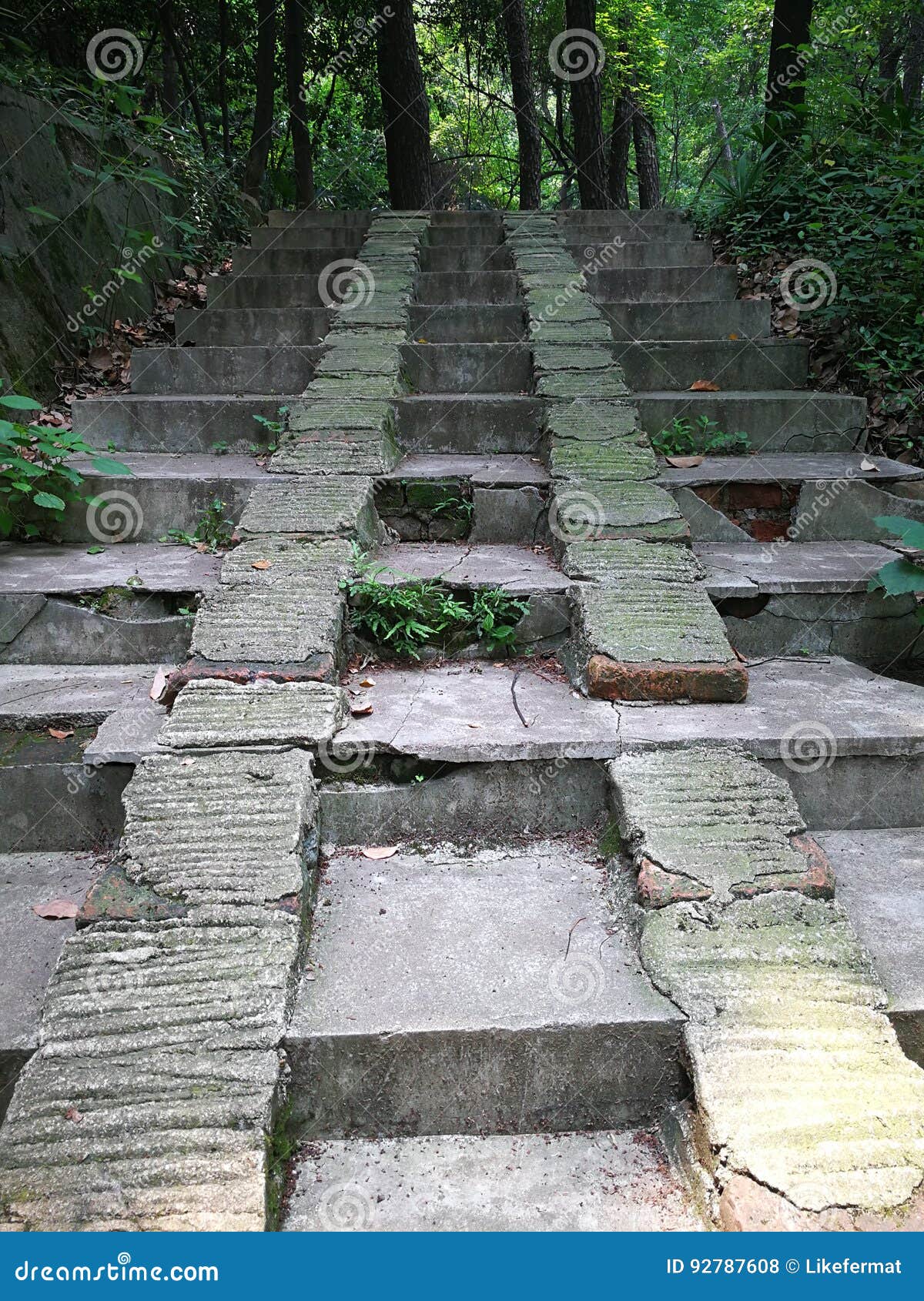 Cement ladder stock photo. Image of ladder, forest, climbing - 92787608