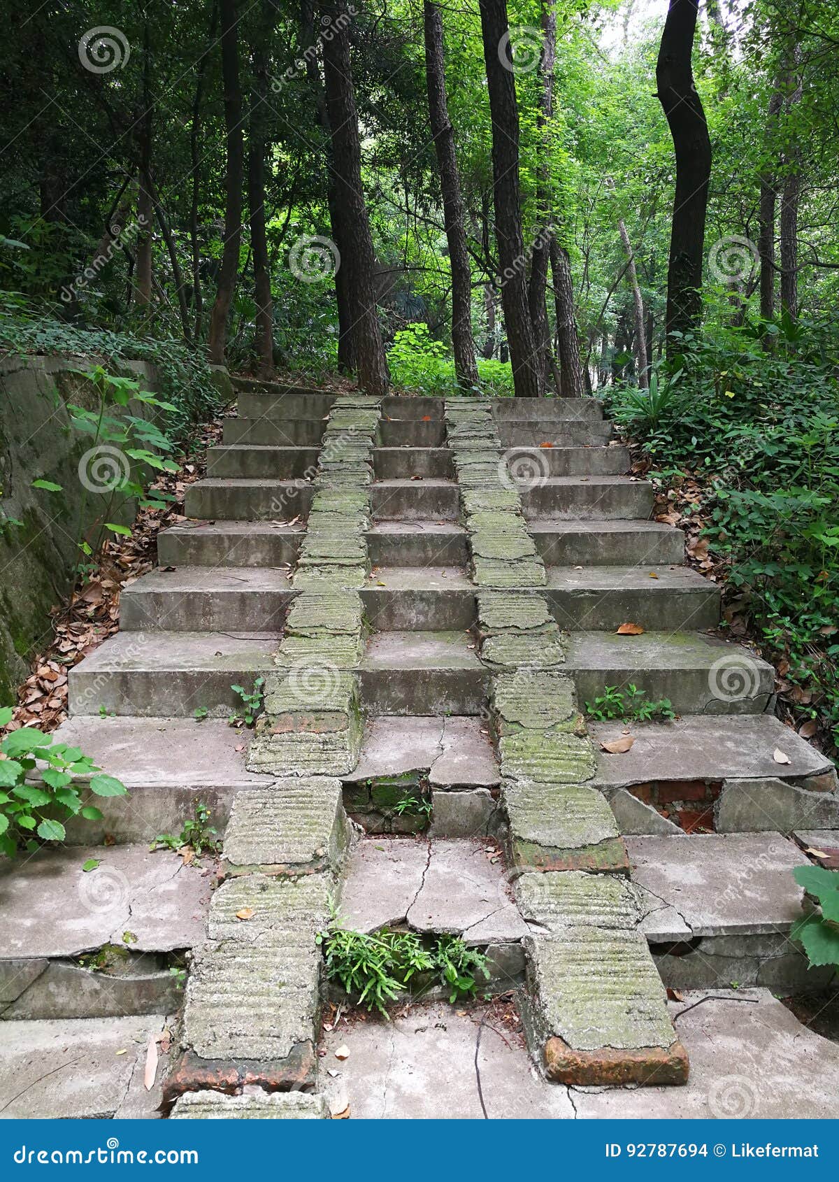 Cement ladder stock photo. Image of brick, rock, scruffy - 92787694