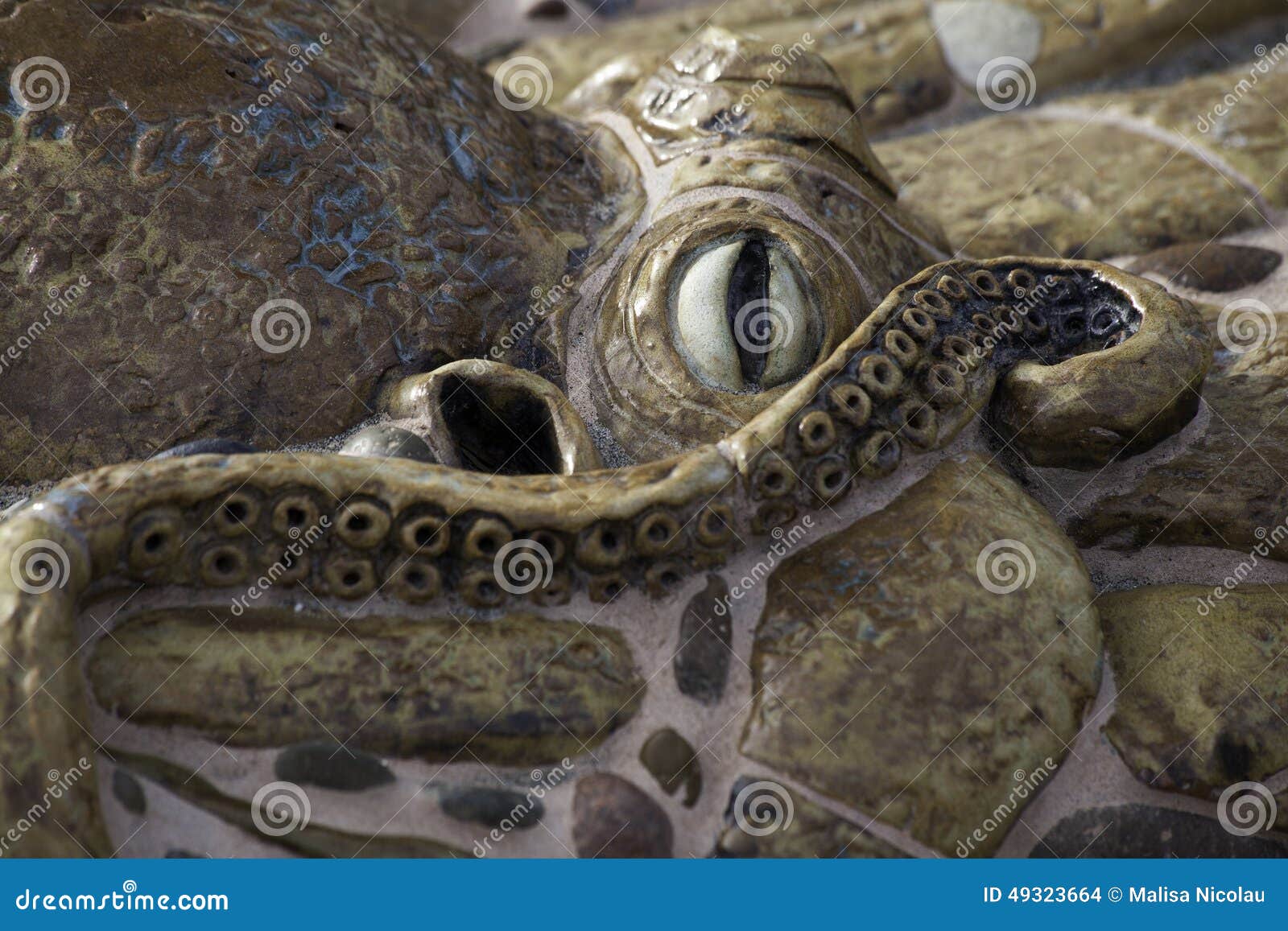 Cement Octopus Embedded in a Planter Edge Stock Photo - Image of ...