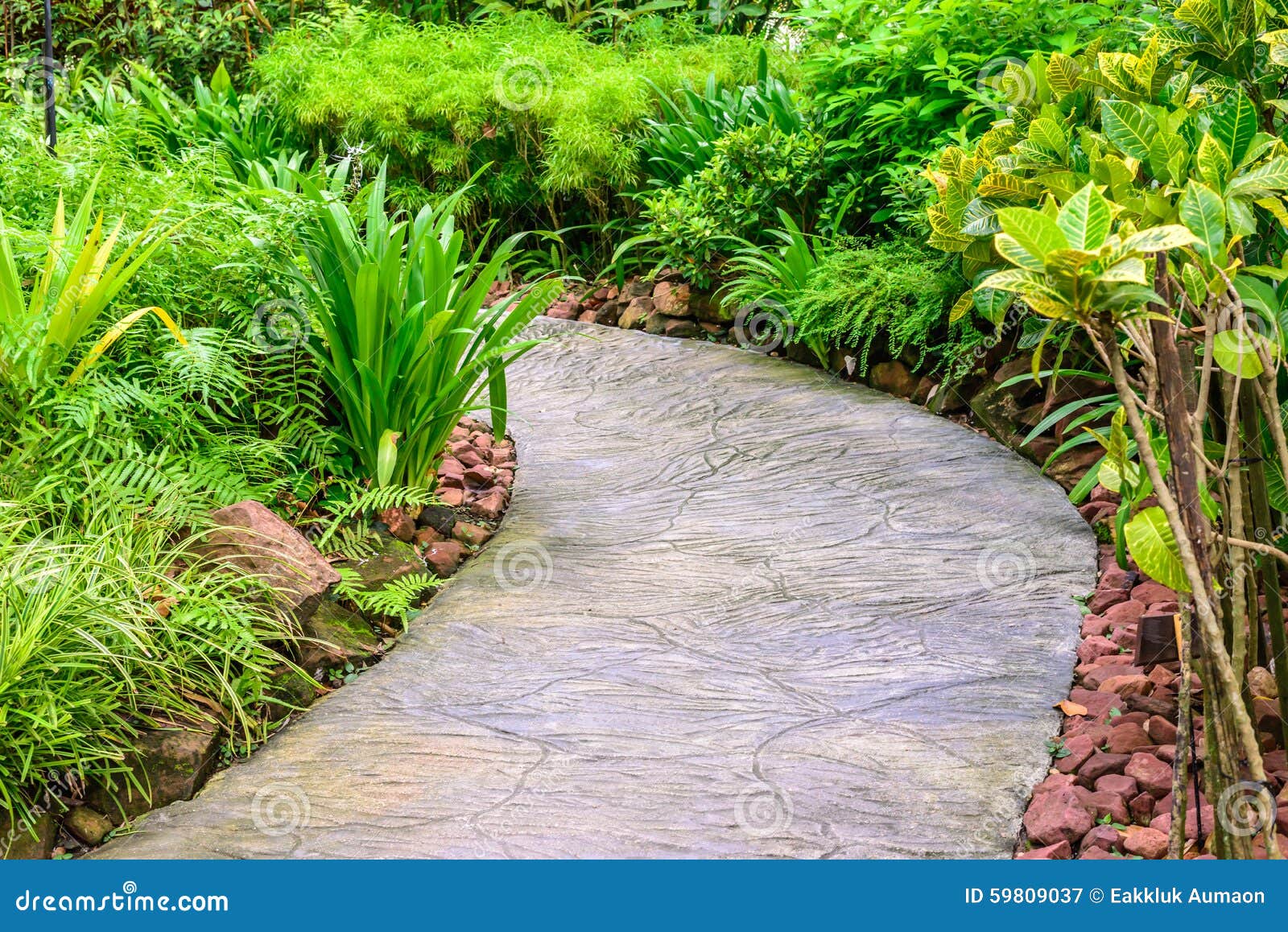 Pathway In The Middle Of Green Tropical Plants Stock Photography ...