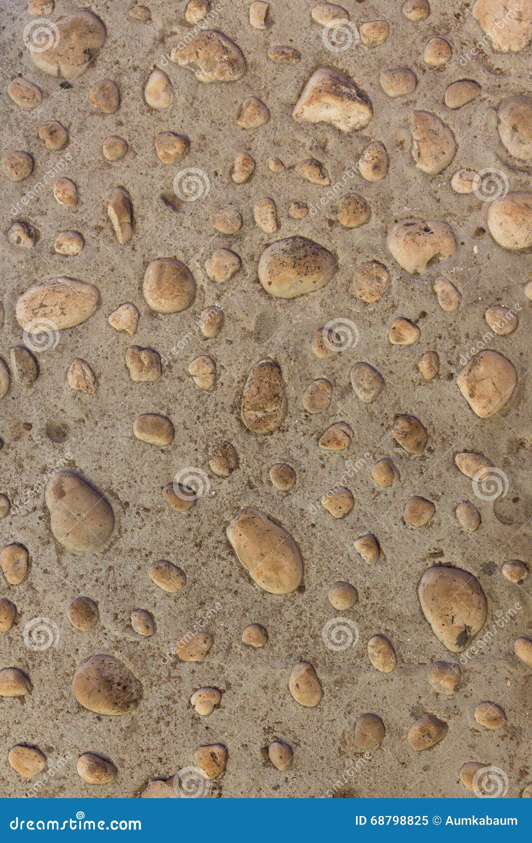 Cement with pebble wall stock image. Image of design - 68798825