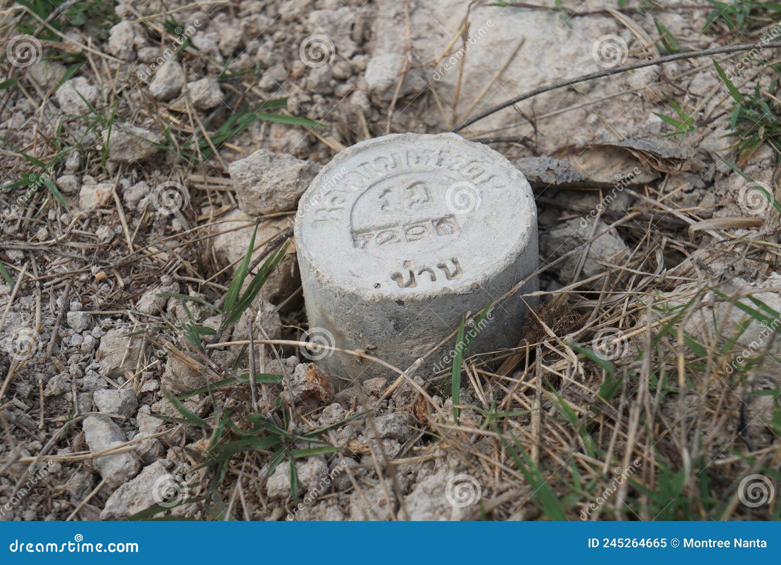 Boundary Mark Stone of Thailand Department of Lands on Ground. Stock ...
