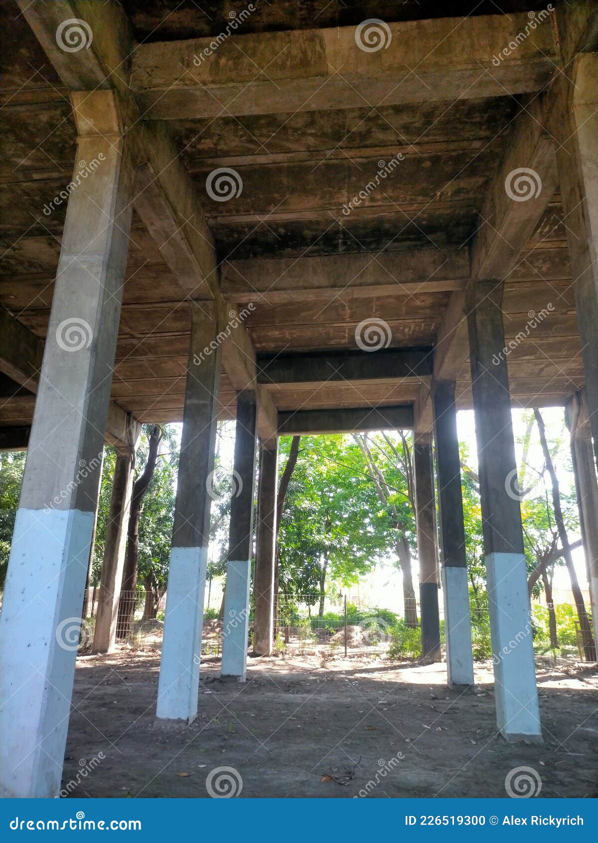 Cement Pillars of Bridge Contruction Stock Photo - Image of cement ...