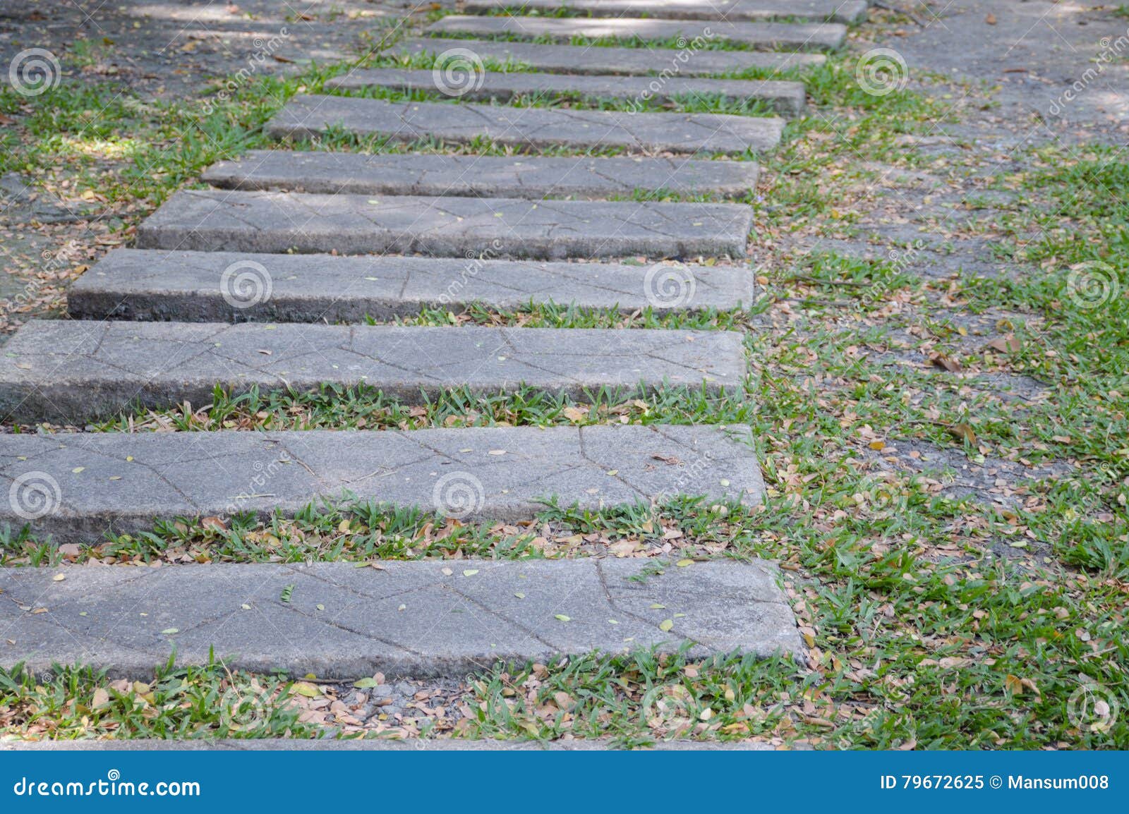Cement plate on the ground stock image. Image of landscape - 79672625