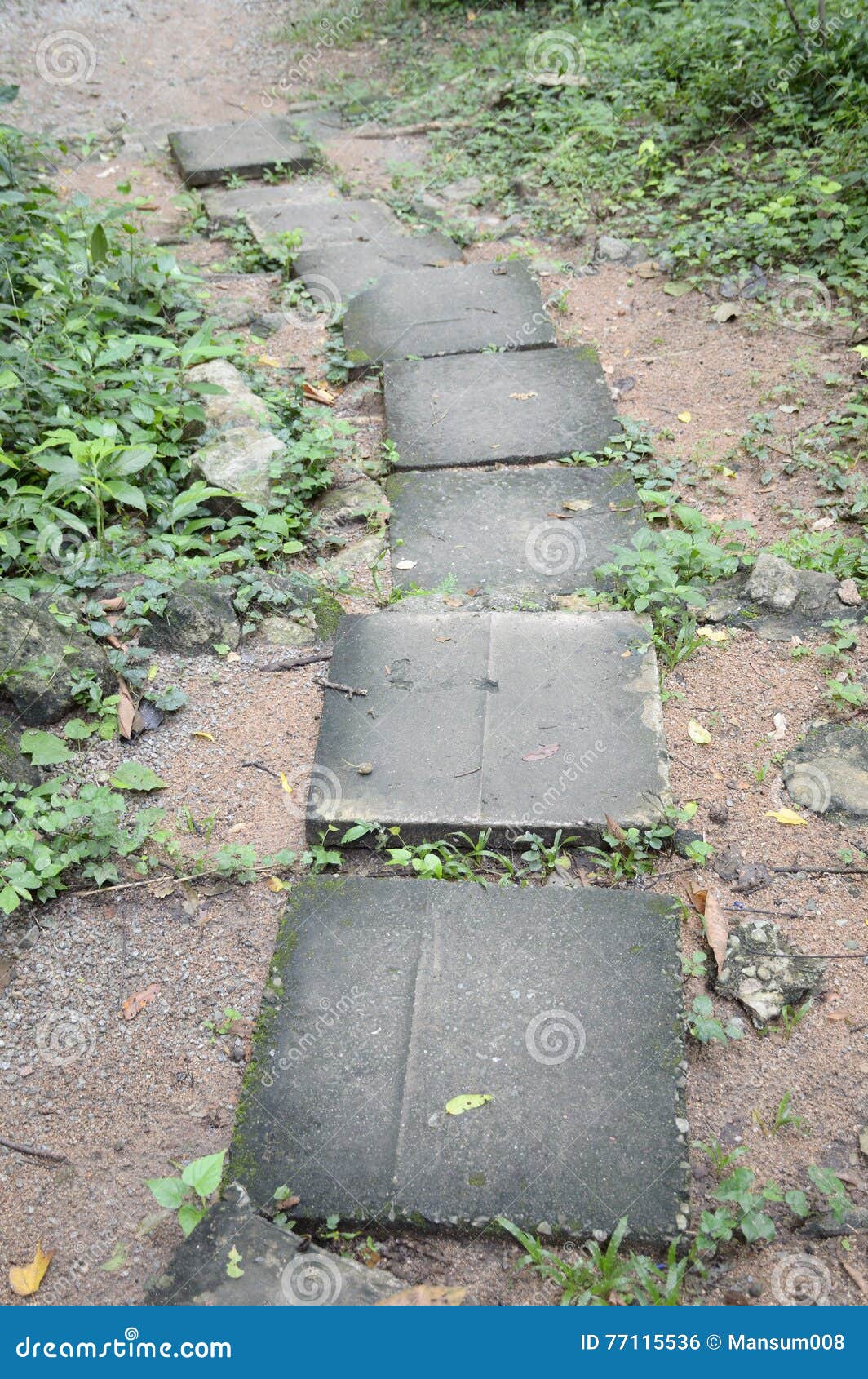 Cement plate stock photo. Image of nature, soil, natural - 77115536