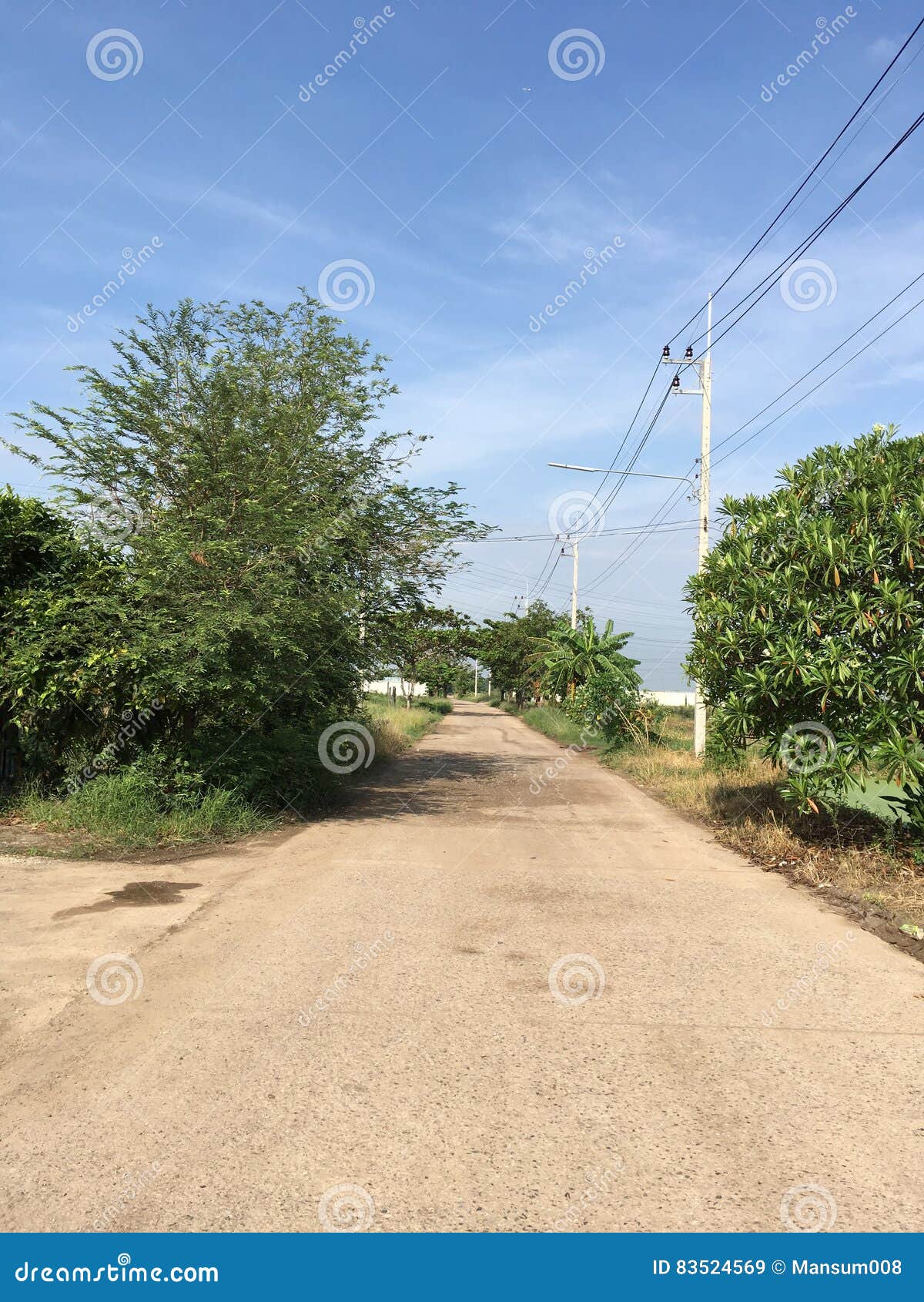 Cement road stock image. Image of cement, outdoor, country - 83524569